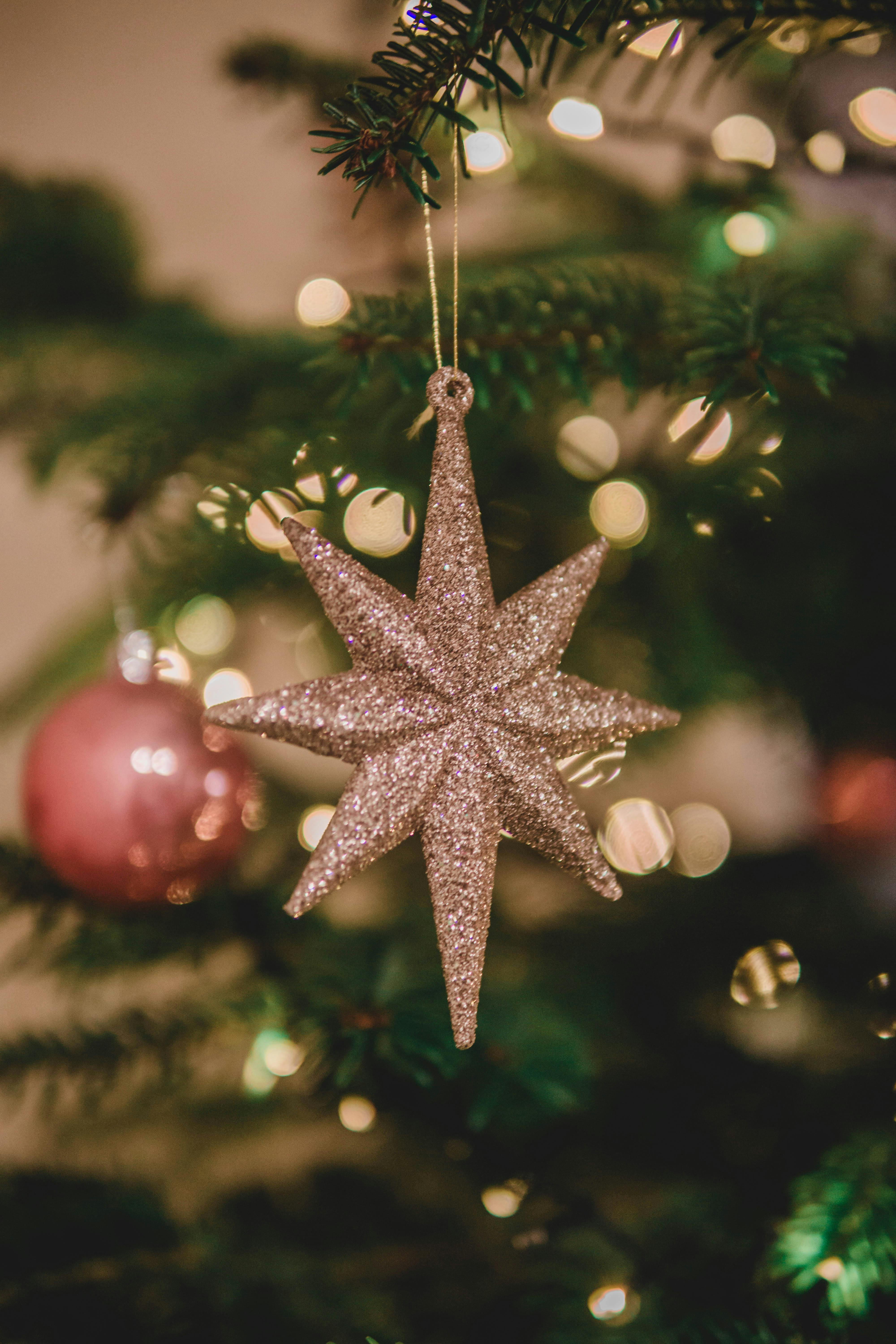 Christmas tree · Pexels