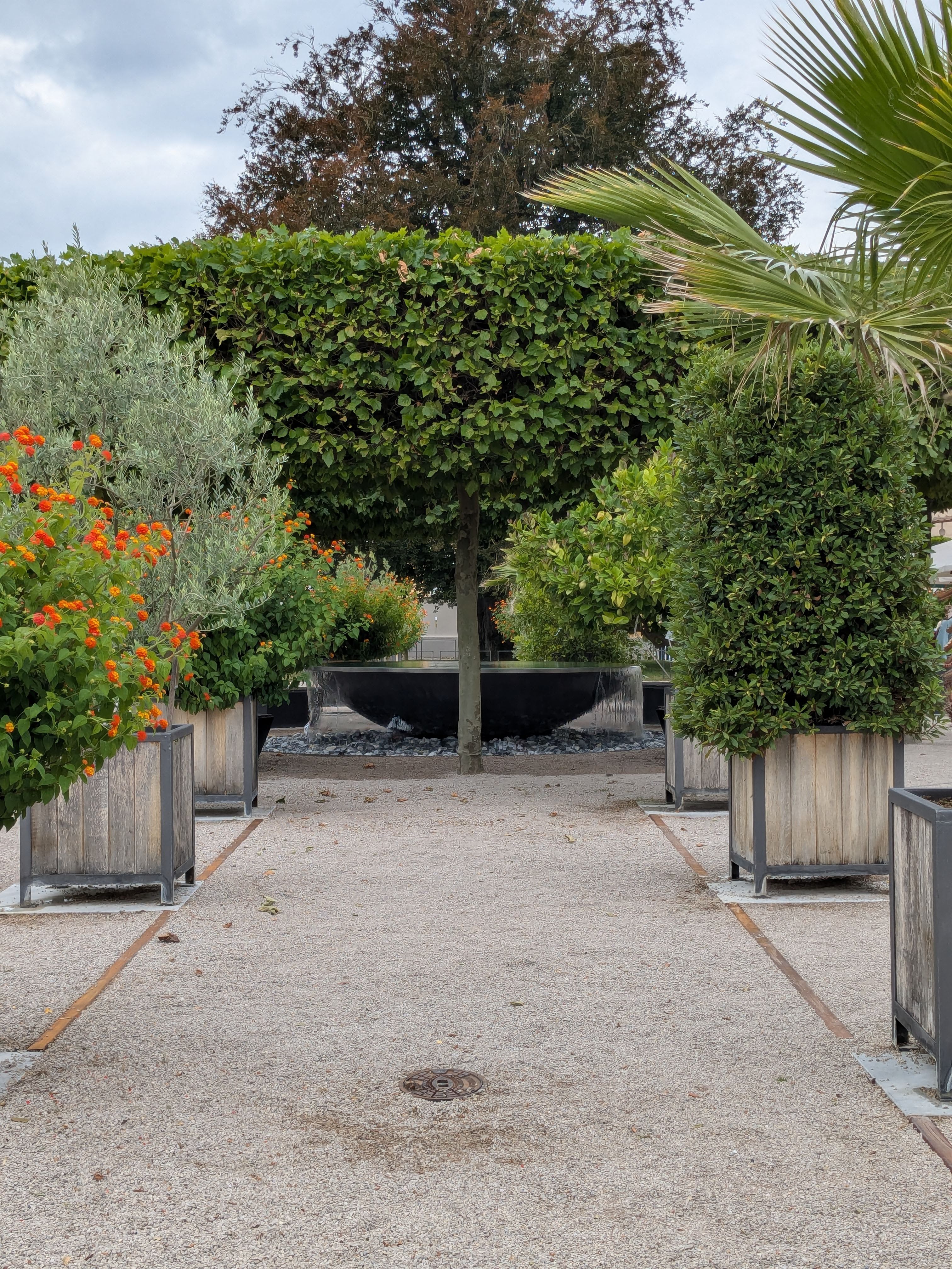 Shrubs Plants Photos, Download The BEST Free Shrubs Plants Stock Photos ...