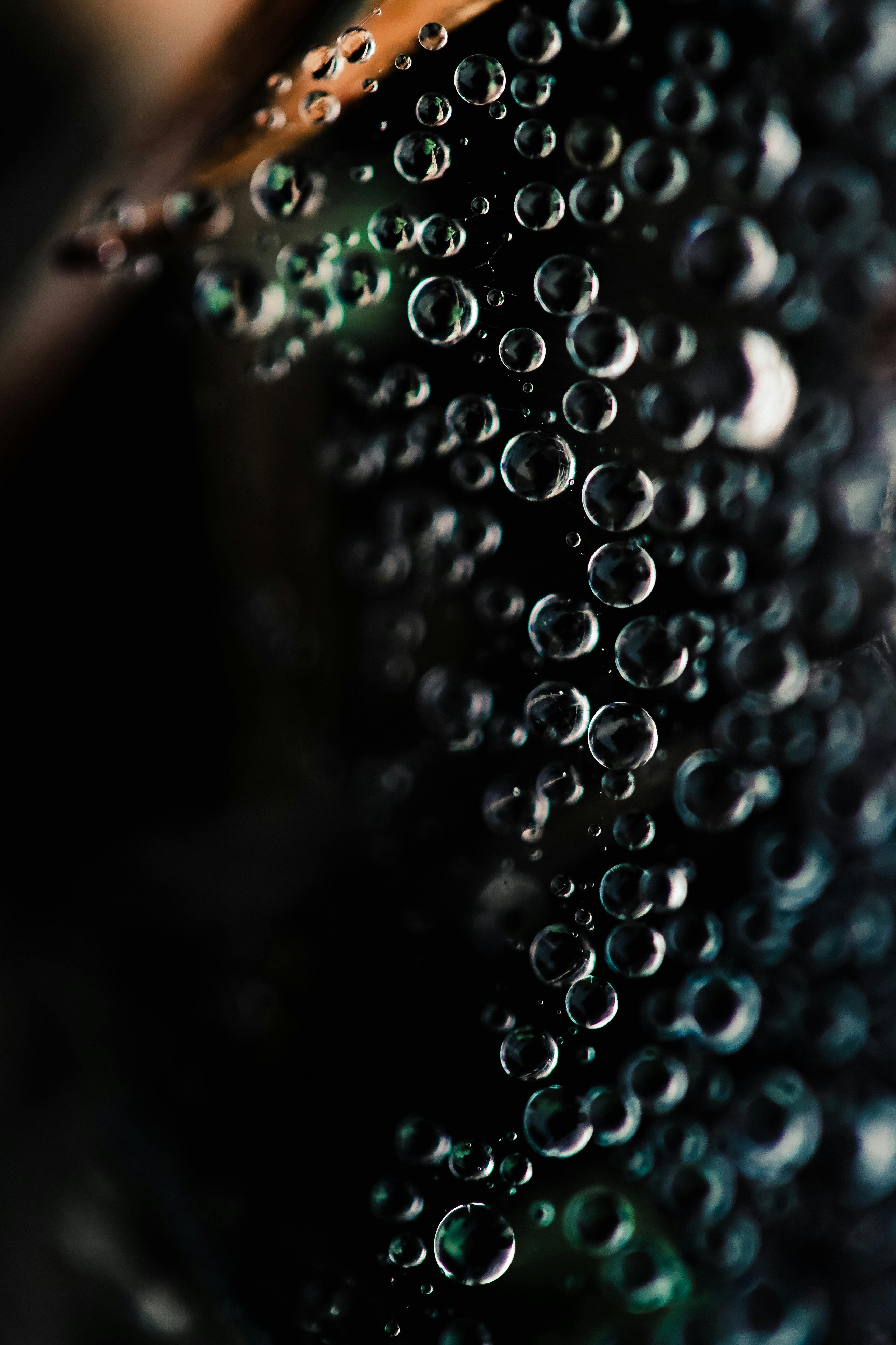Drops · Pexels
