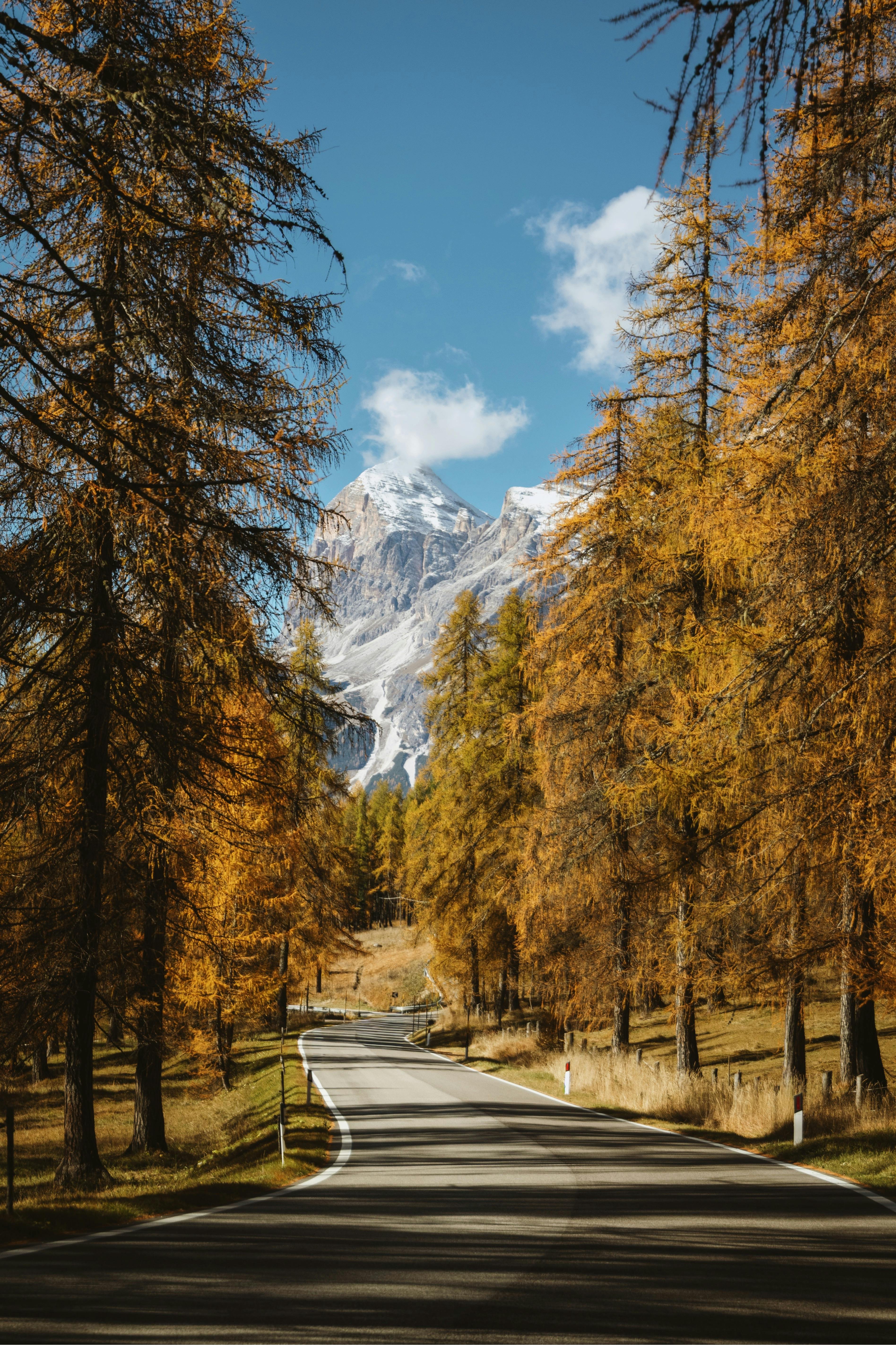 Discord Server Graphics Photos, Download The BEST Free Discord Server ...