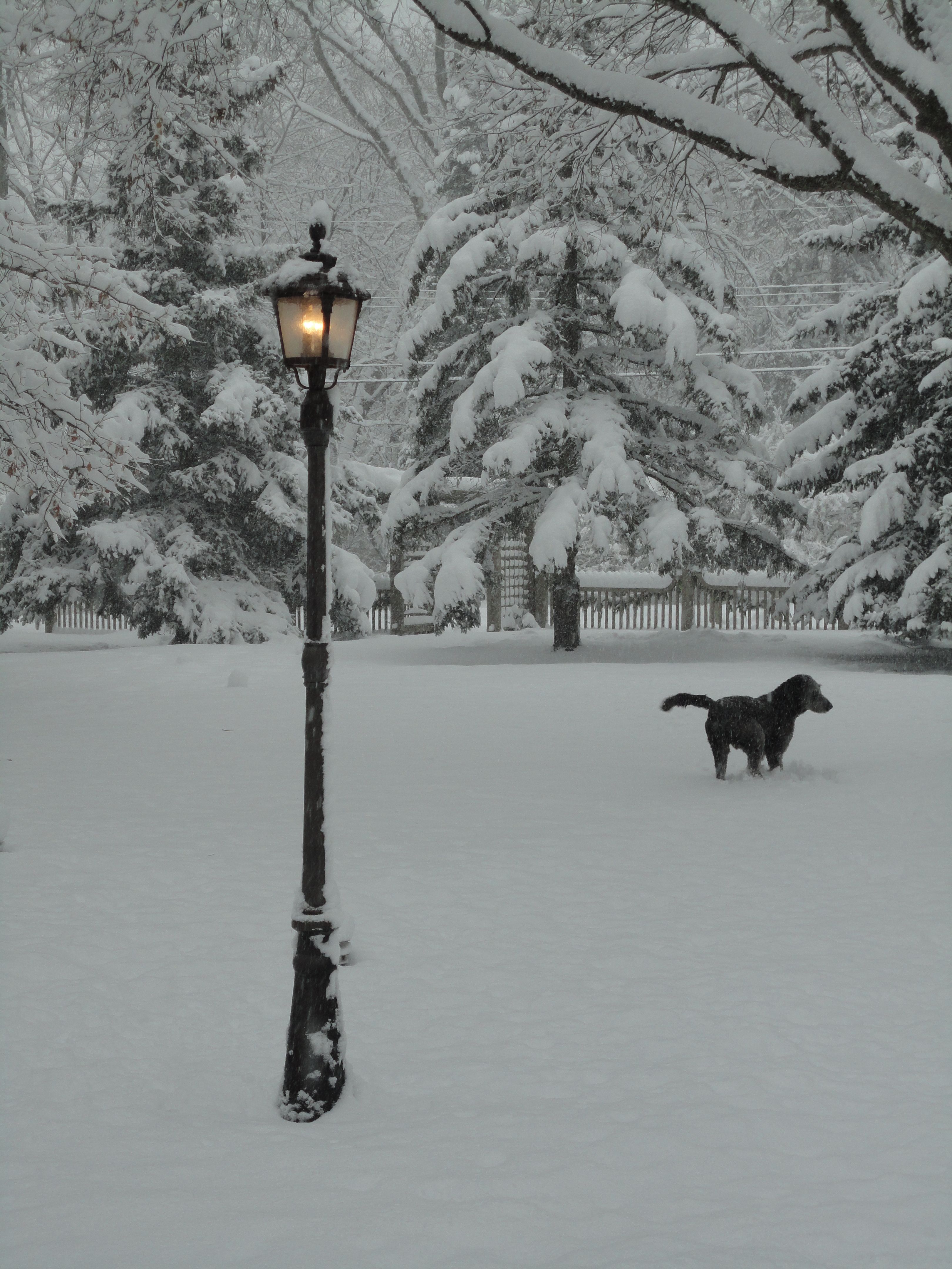 Narnia Photos, Download The BEST Free Narnia Stock Photos & HD Images