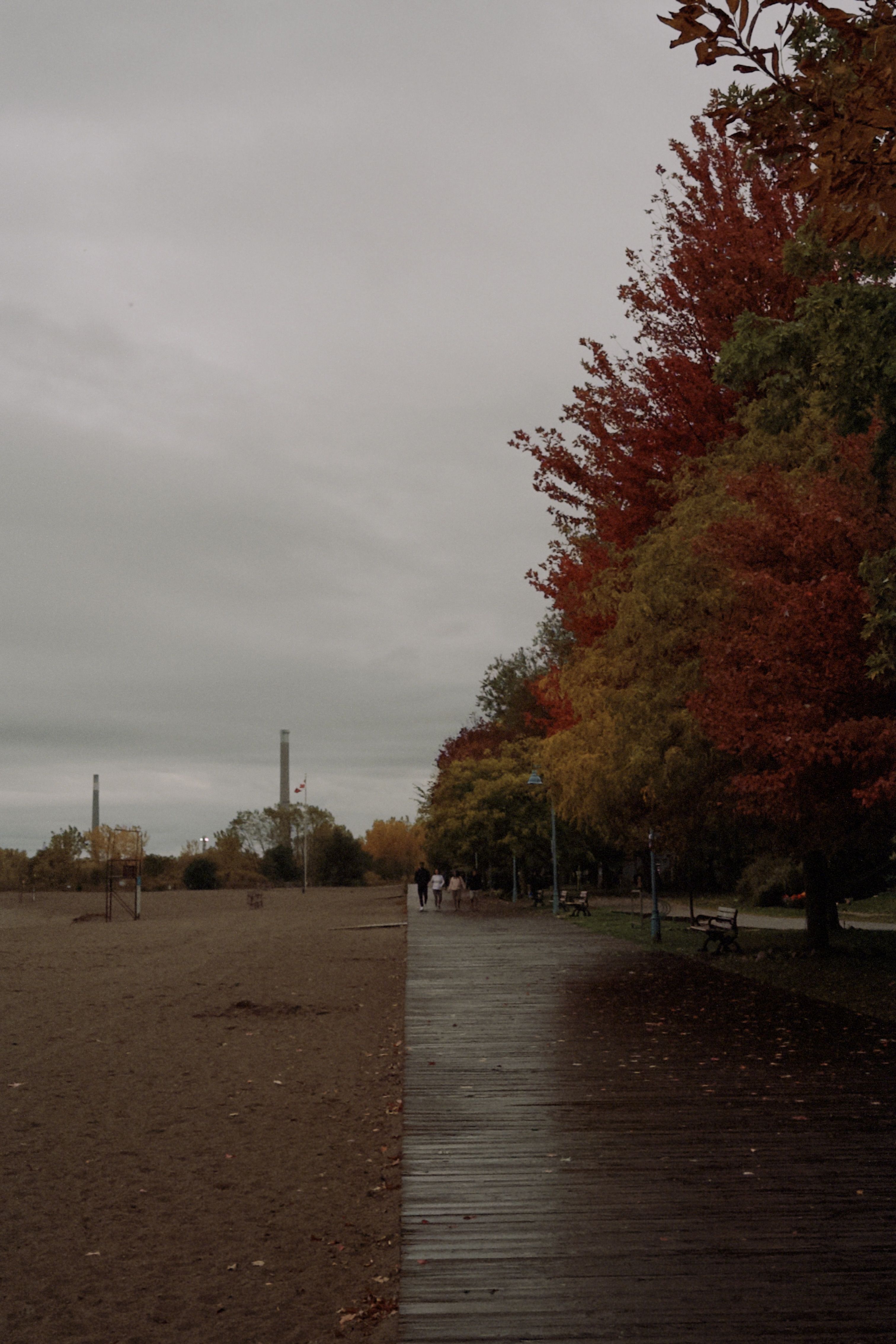 Autumn Walkway Along Toronto's Beachfront · Free Stock Photo