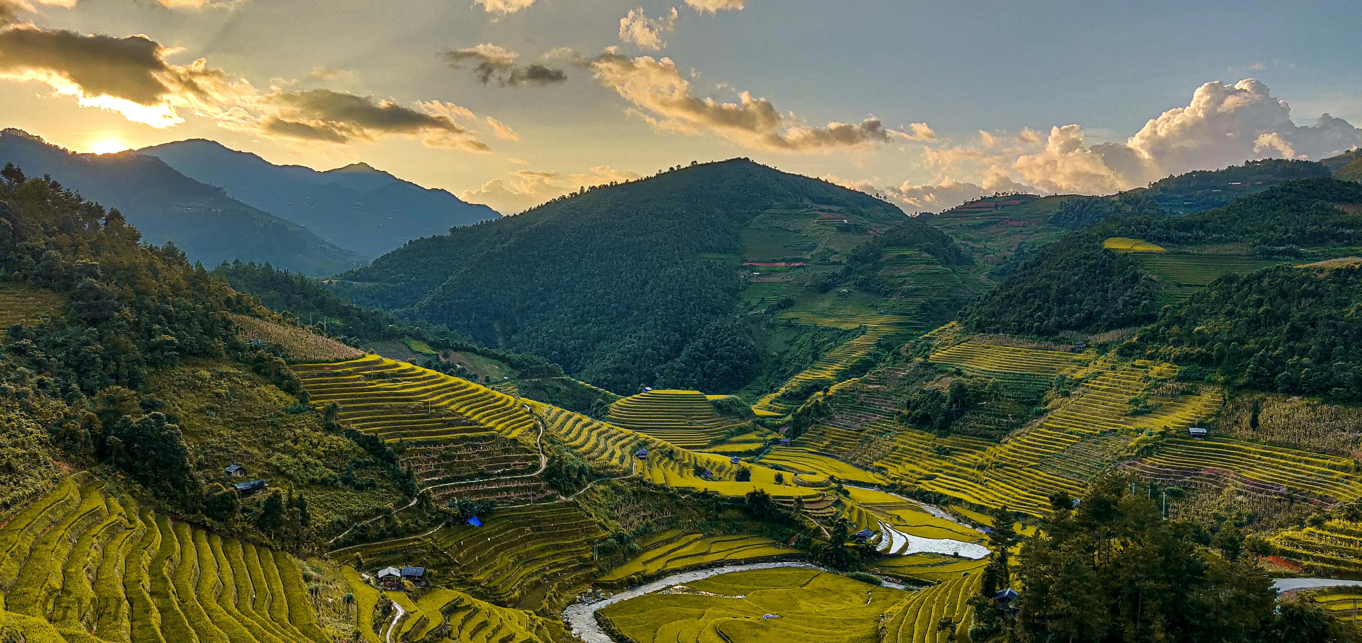 Rice Terraces Hd
