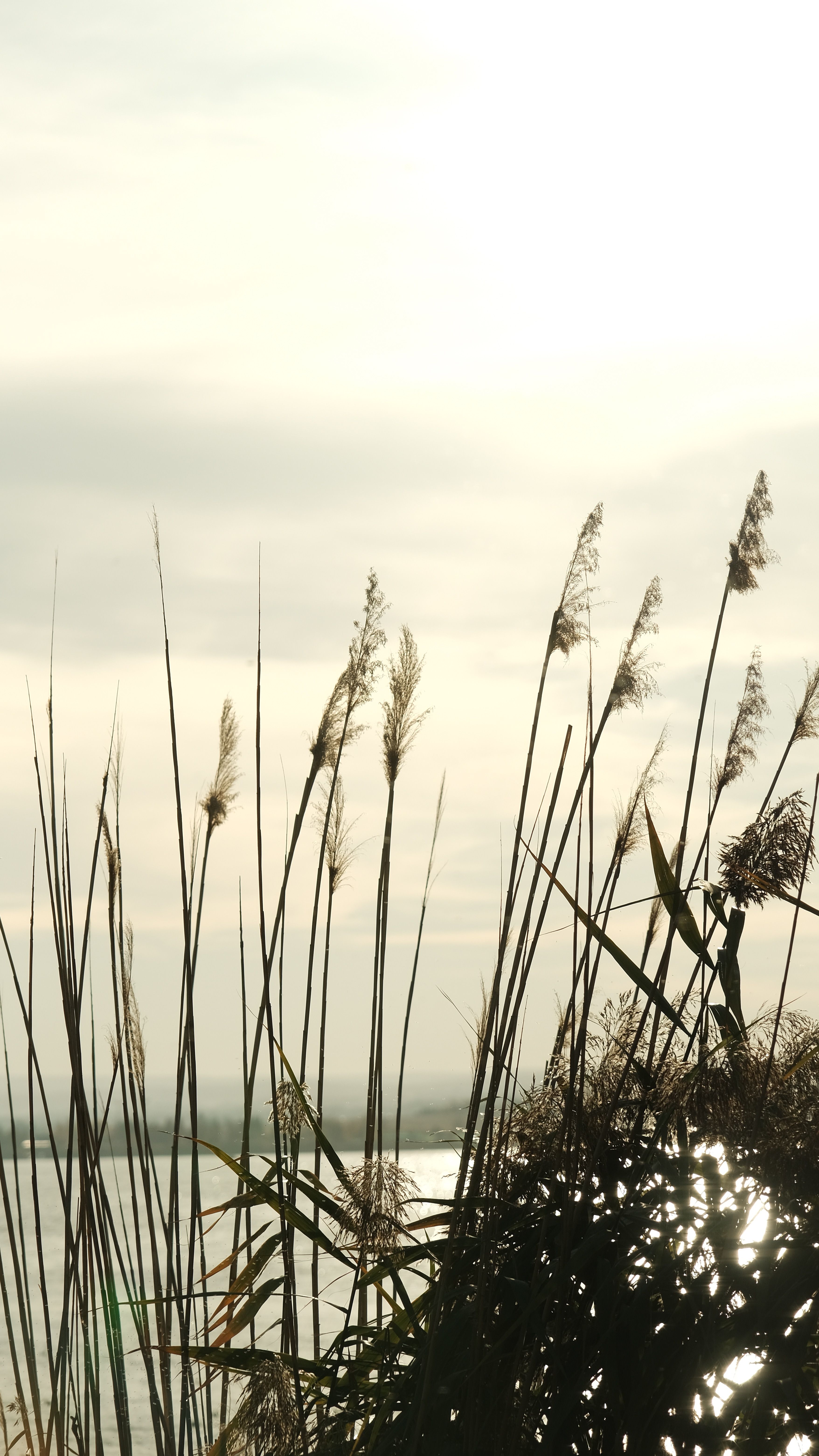 Wallpaper+Gauntlets+Where+Winds+Meet Photos, Download The BEST Free ...