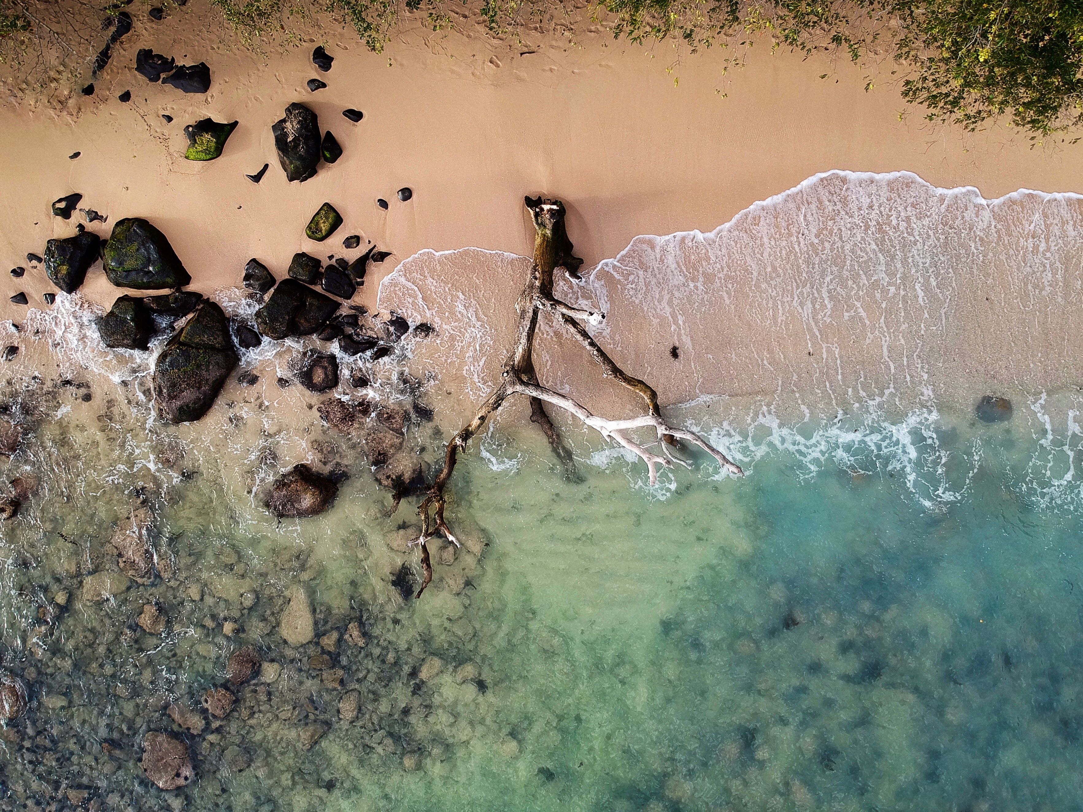 Top View Photo of Seashore · Free Stock Photo