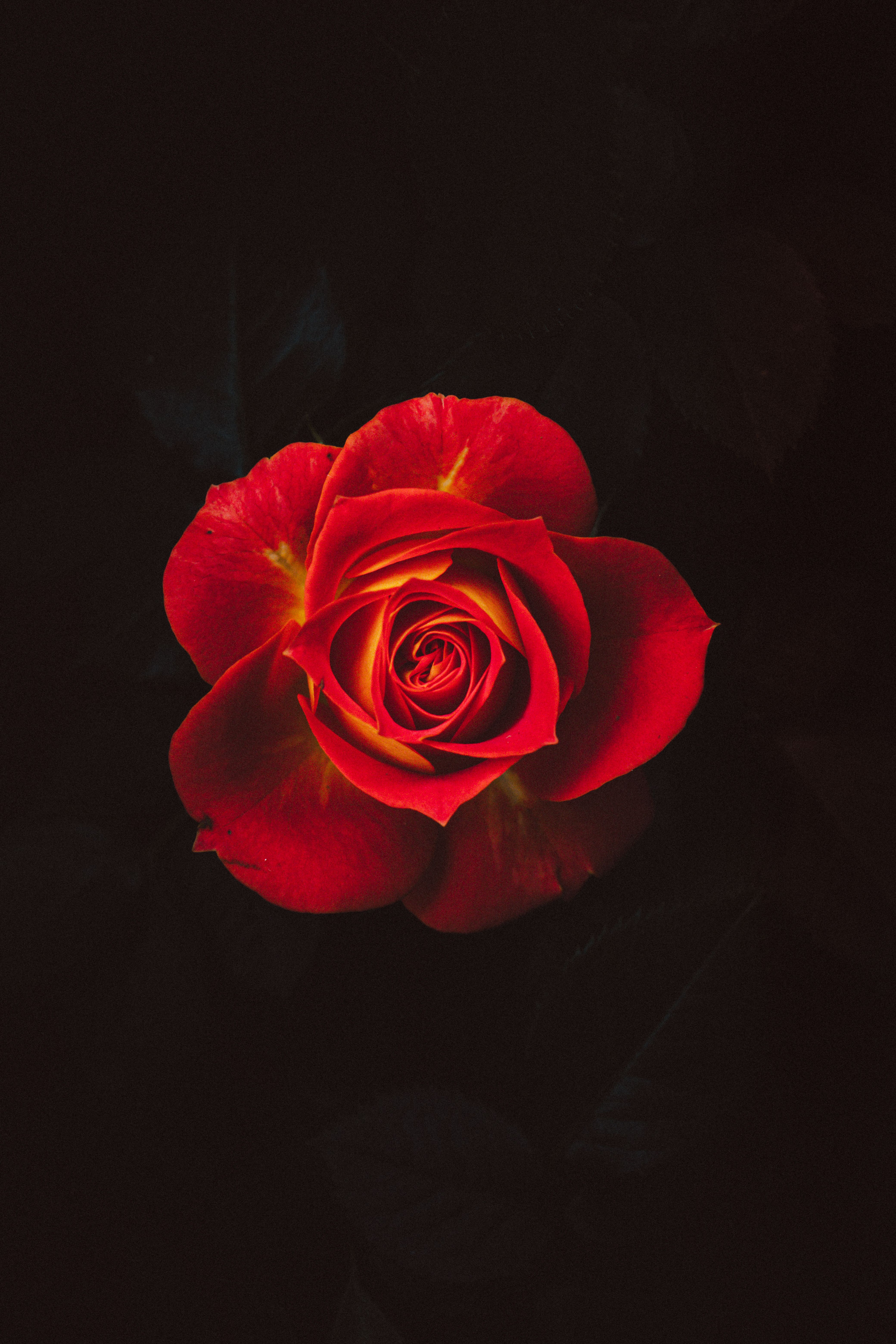 10.000+ melhores imagens de 4k Wallpaper Prf · Download 100% grátis ...