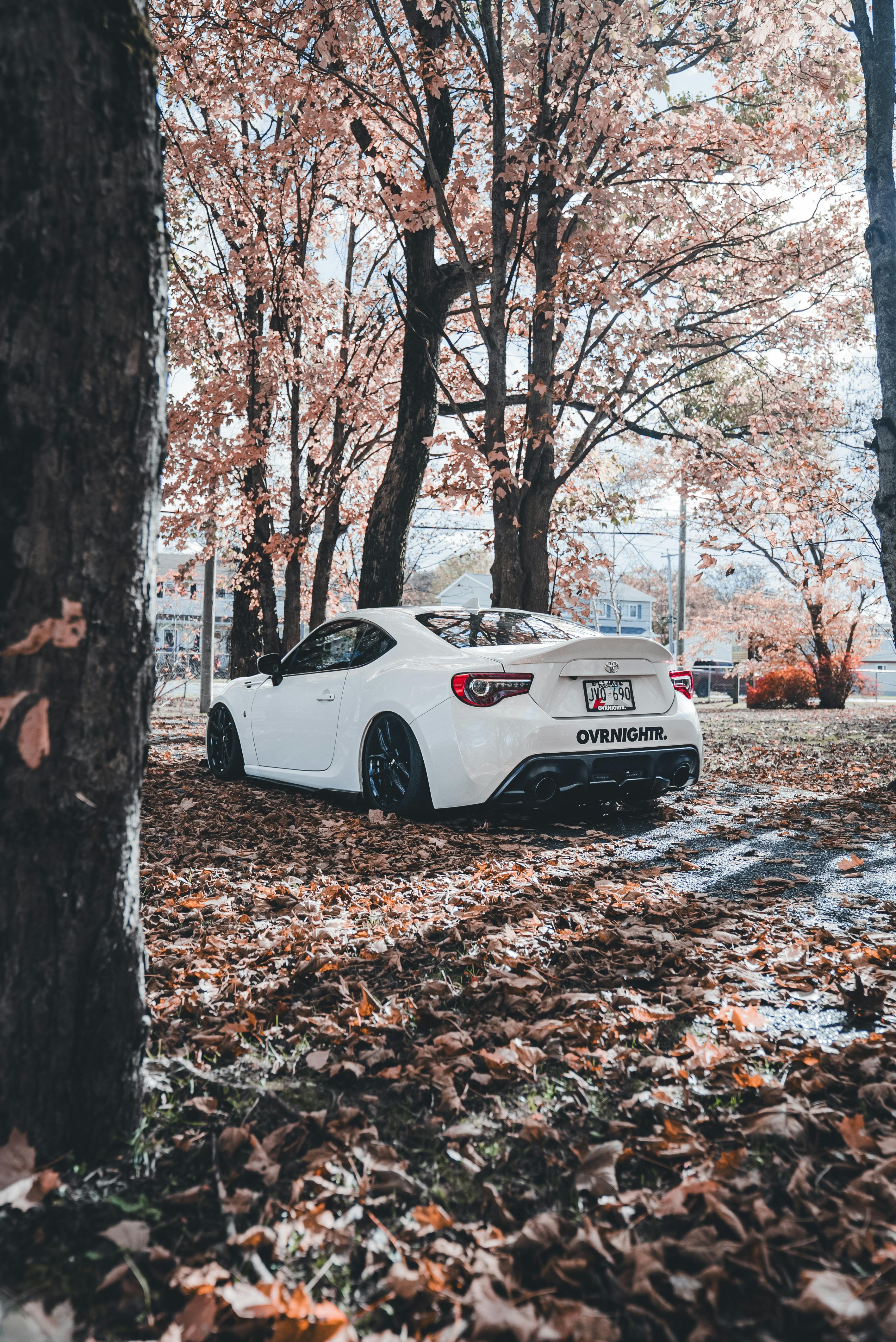 Best+Goon+Pictures Photos, Download The BEST Free Best+Goon+Pictures ...