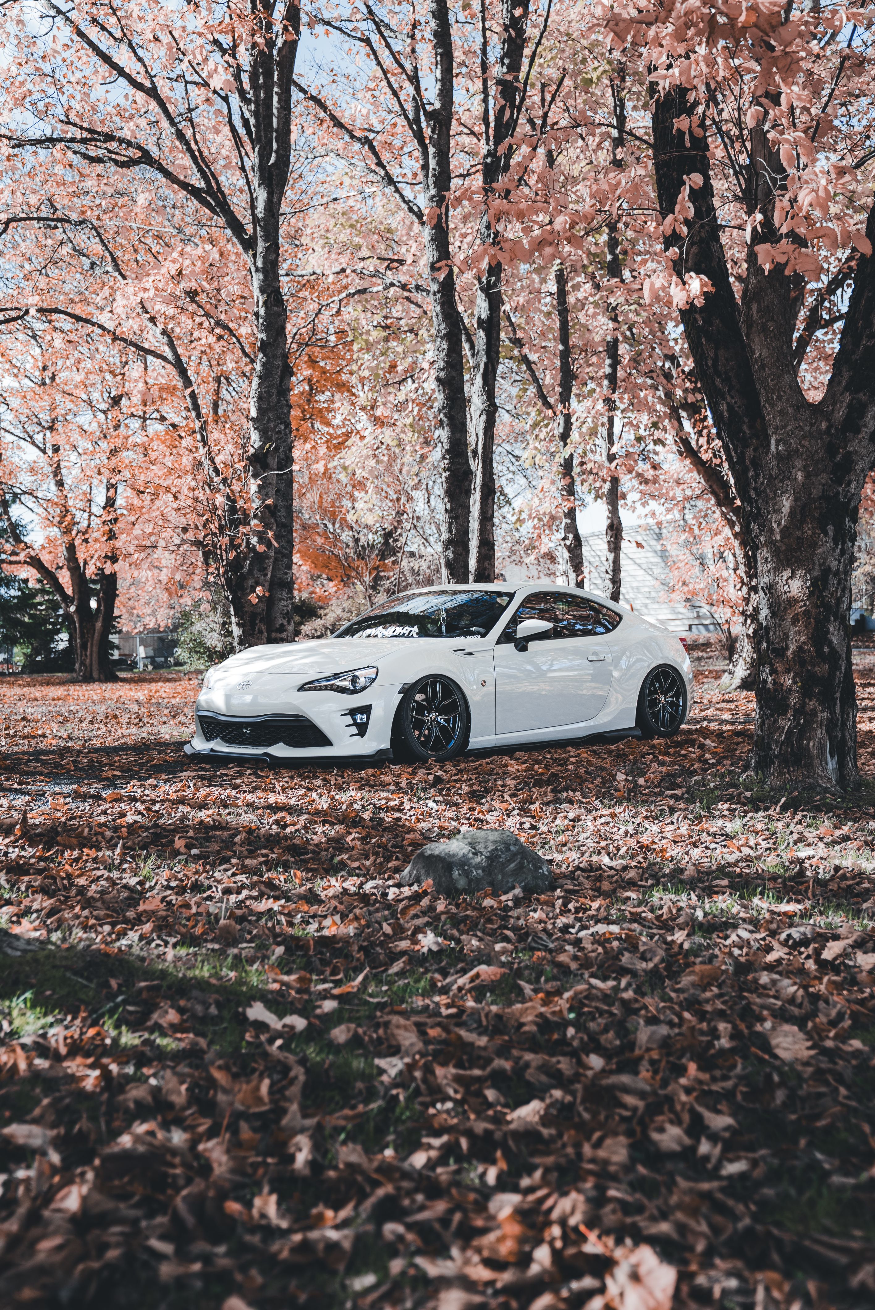 White sports car in autumn forest setting · Free Stock Photo