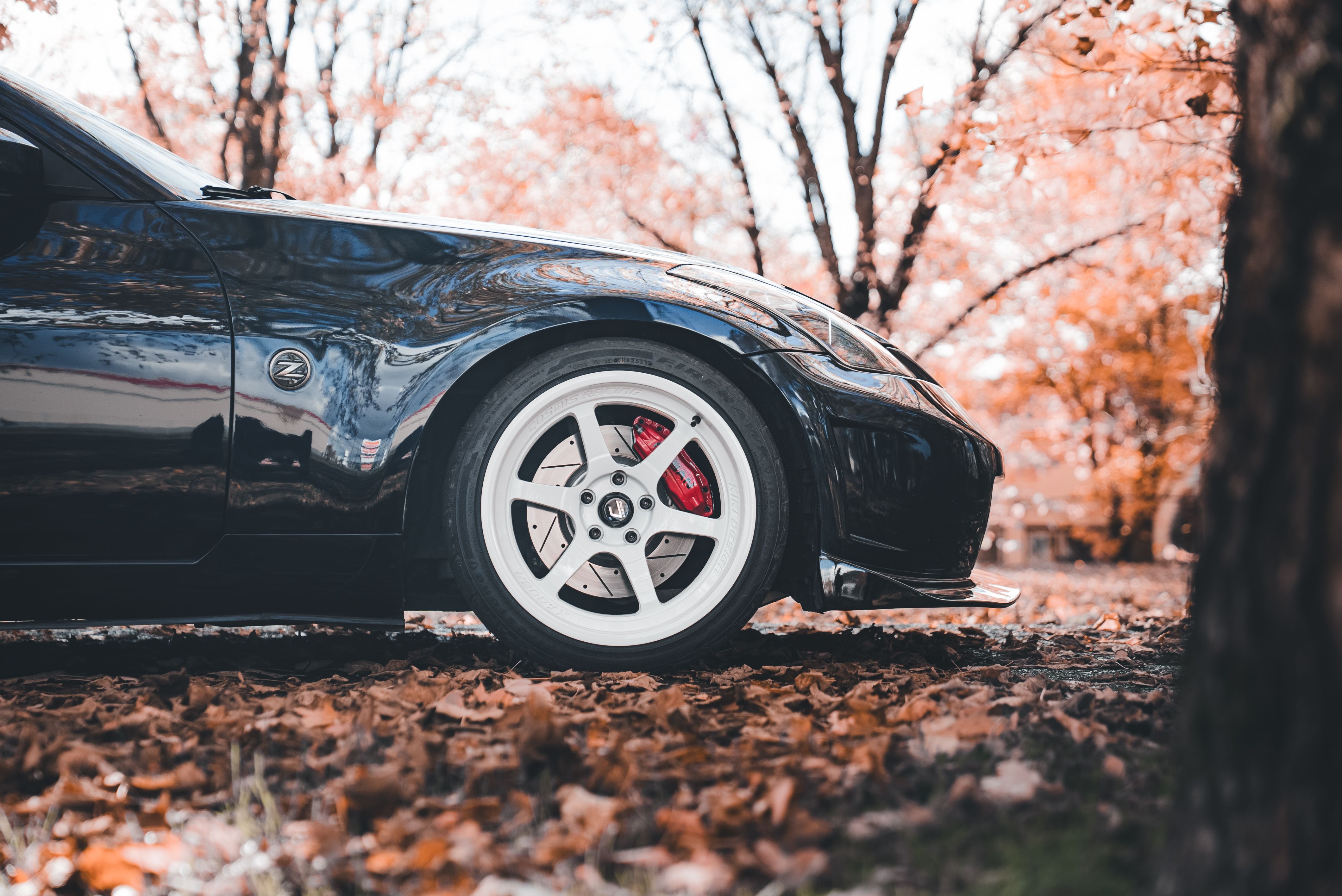 Autumn Scene with Black Sports Car and Fall Leaves · Free Stock Photo