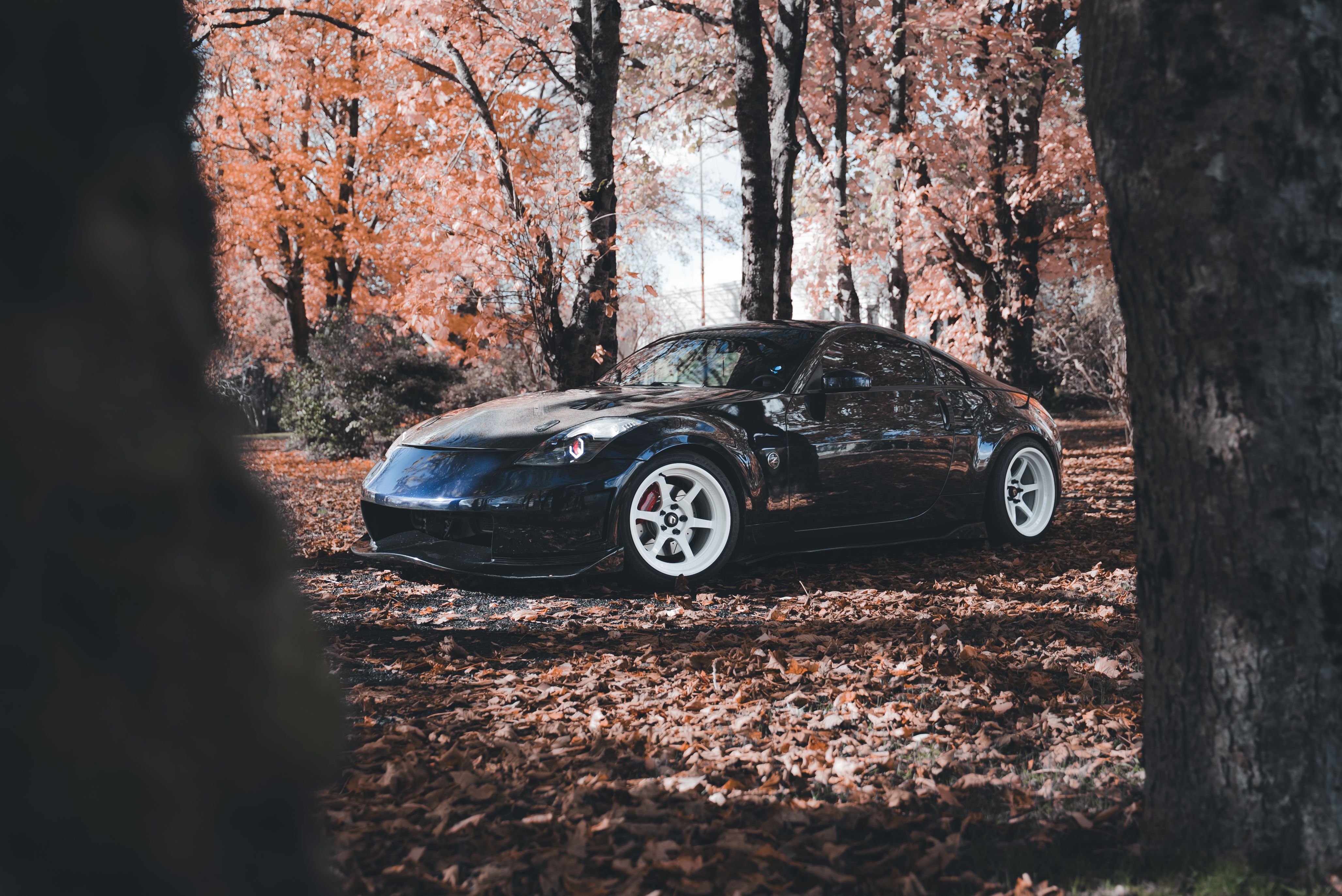 Sleek Sports Car in Autumn Forest Setting · Free Stock Photo