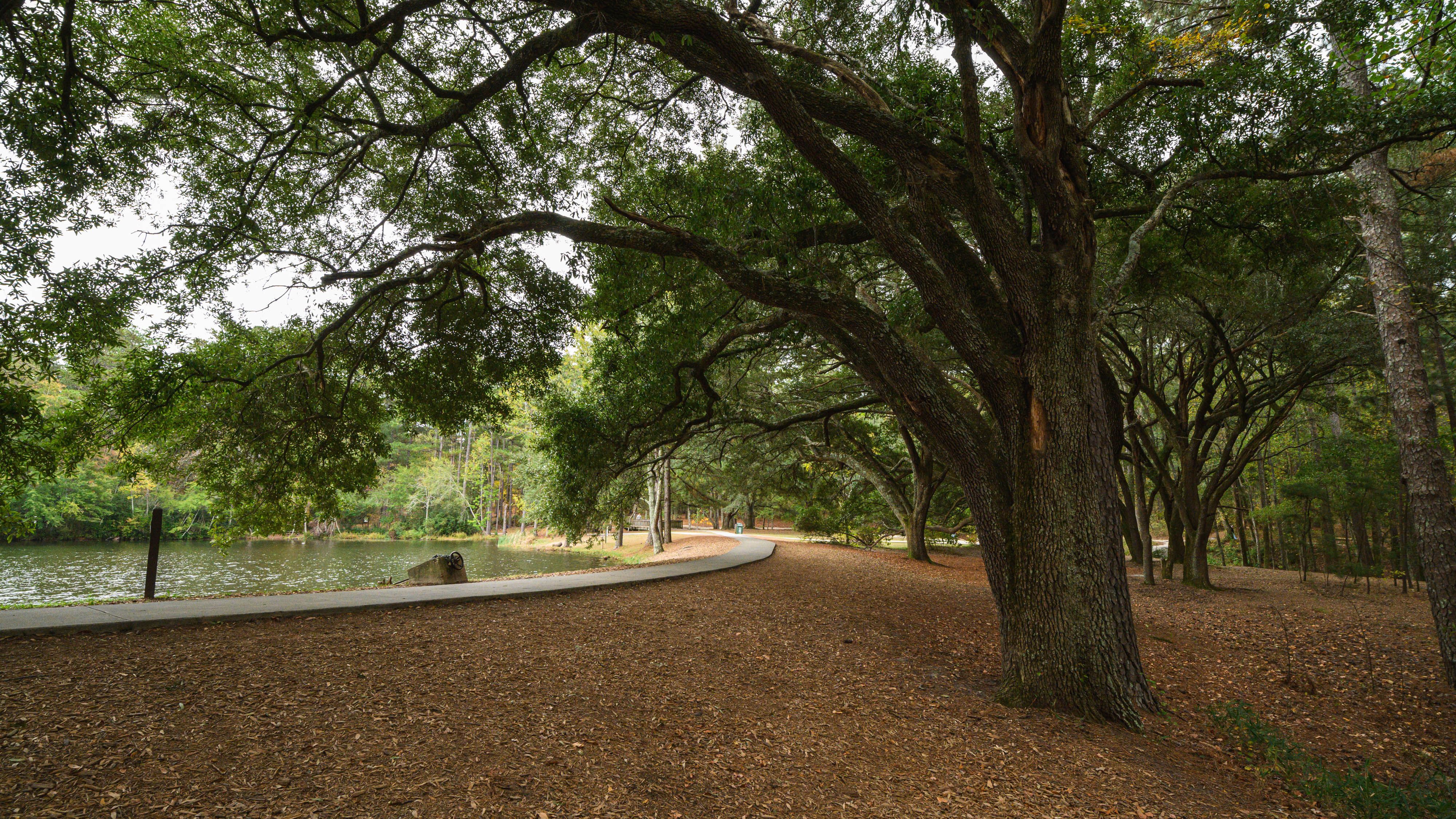 Scenic Walking Path in Sesqui State Park, Columbia · Free Stock Photo