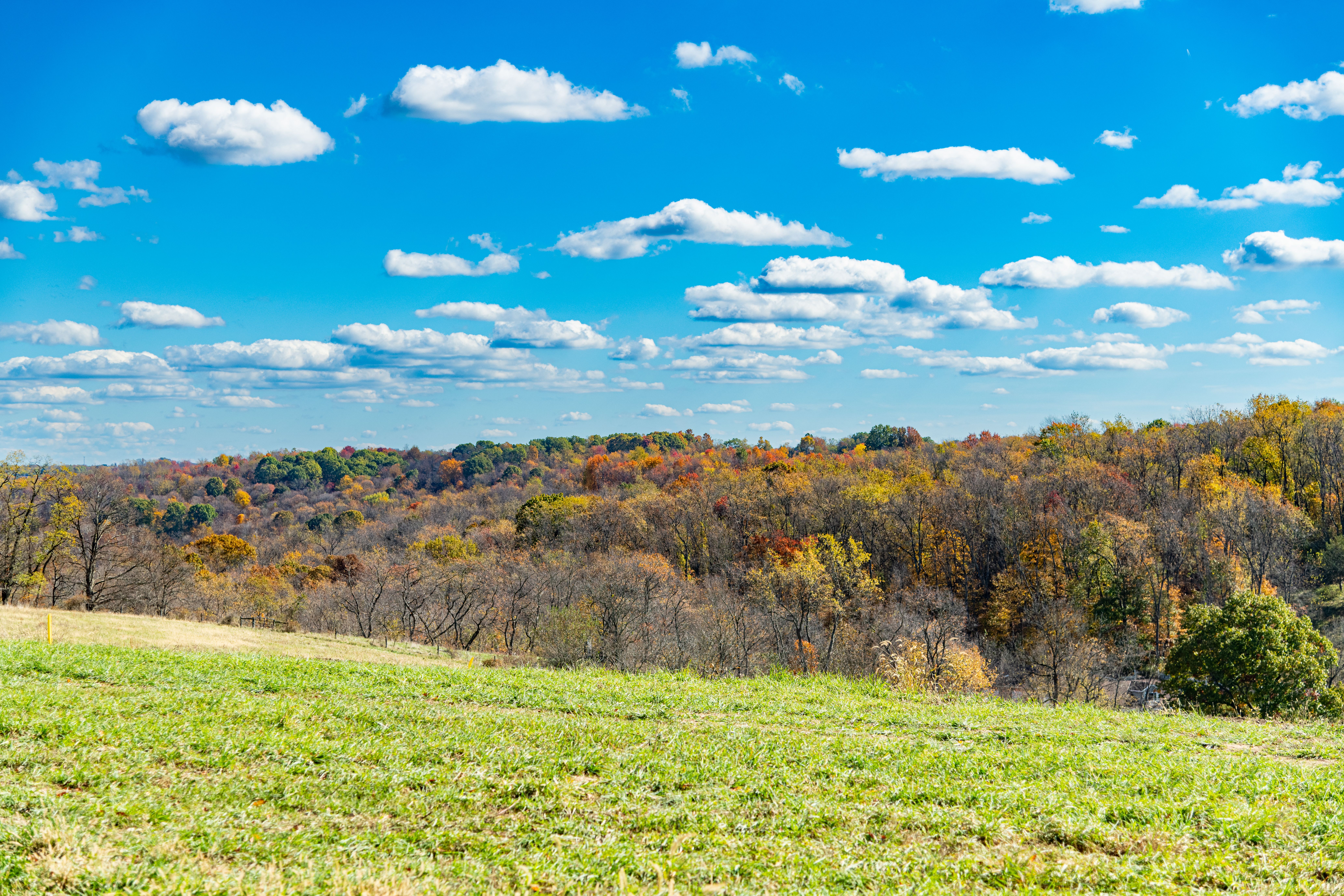 Scenic Autumn Landscape in Pennsylvania · Free Stock Photo