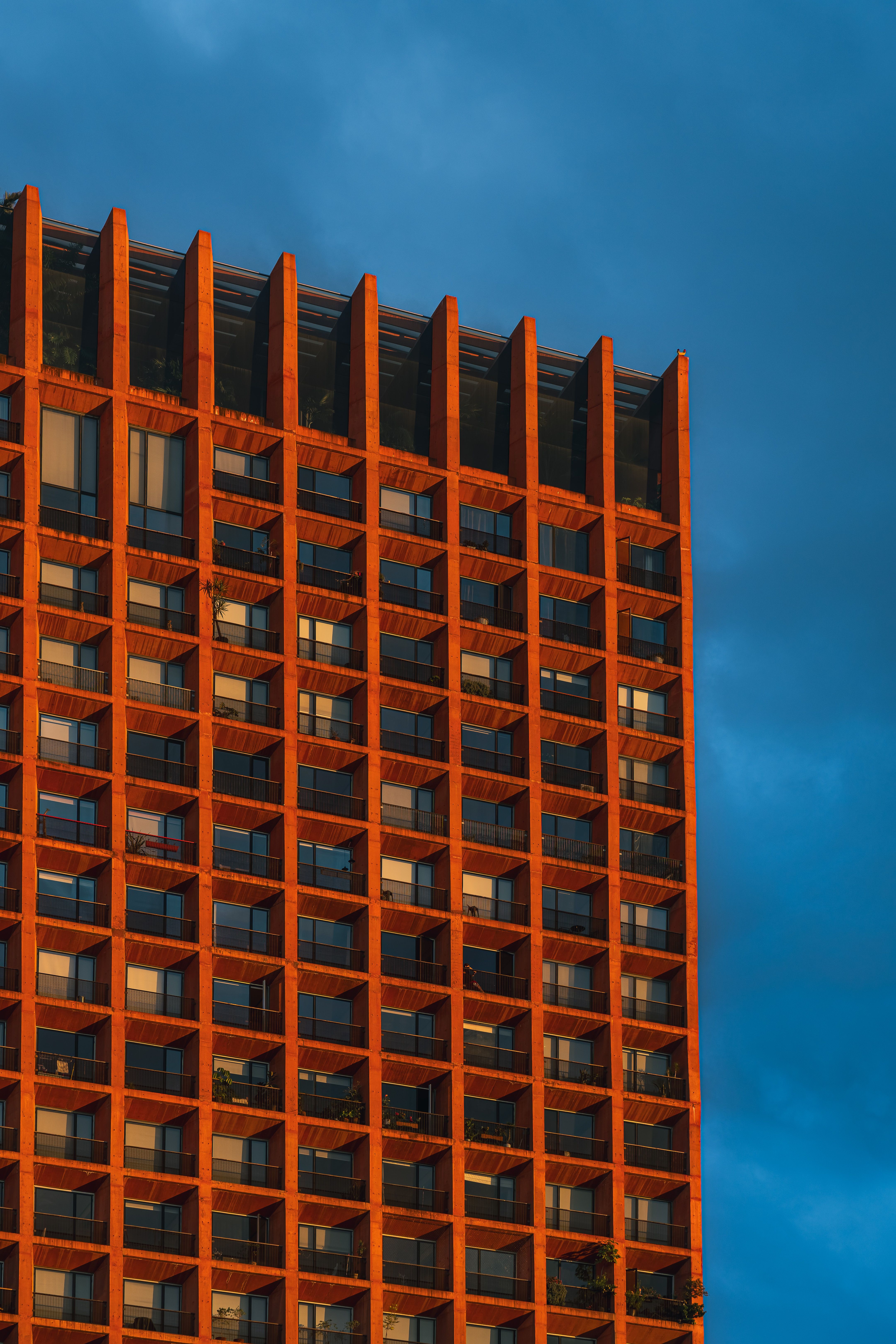 Modern High-Rise Building in Mexico City · Free Stock Photo