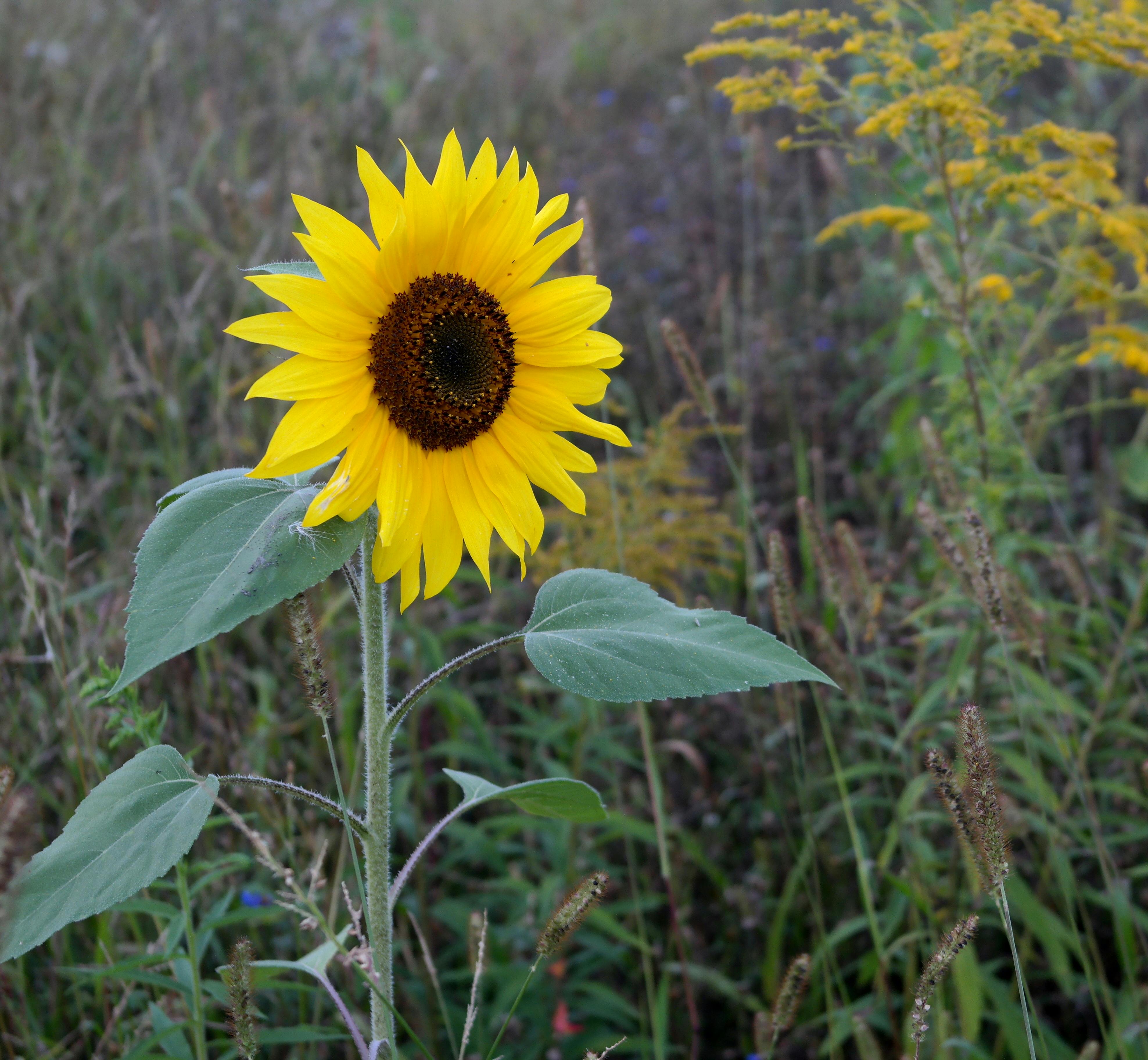 Ptm+Poster+For+School+Background Photos, Download The BEST Free Ptm ...