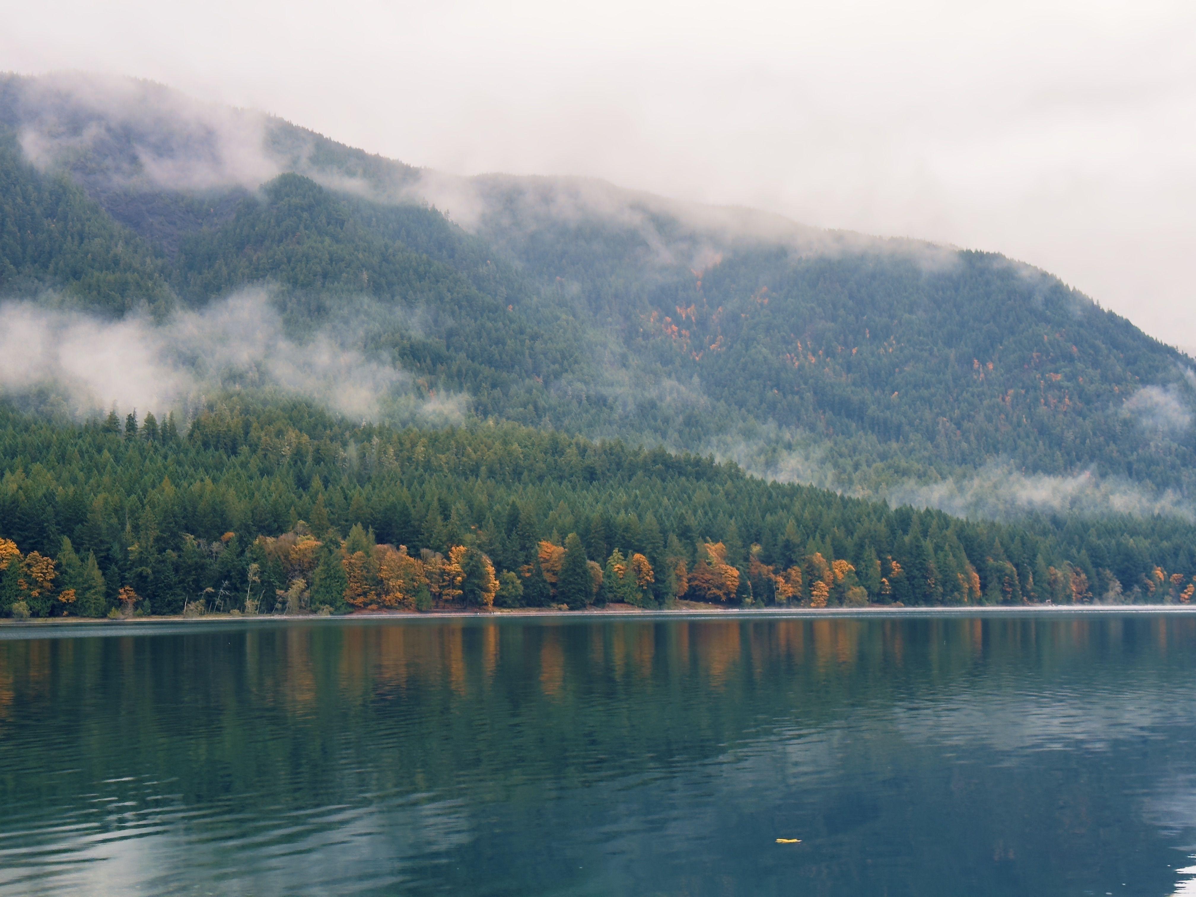 Peaceful Autumn Mist Over Forest Lake · Free Stock Photo