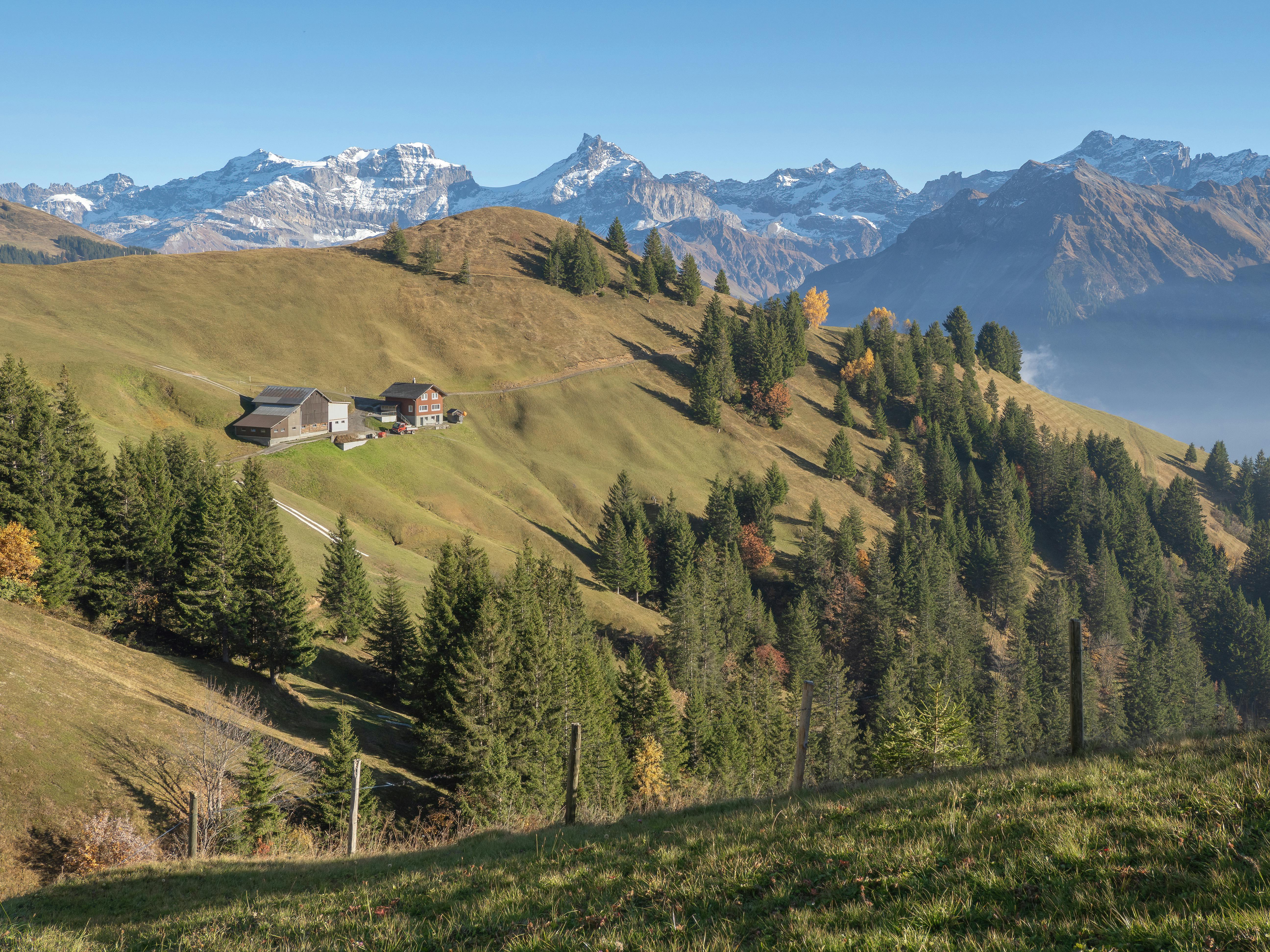 Alpine Scenery In Wolfenschiessen, Switzerland Photos, Download The ...