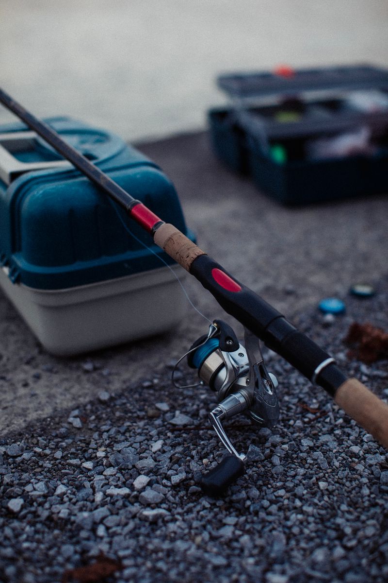 Fishing Rod Photos, Download The BEST Free Fishing Rod Stock Photos ...
