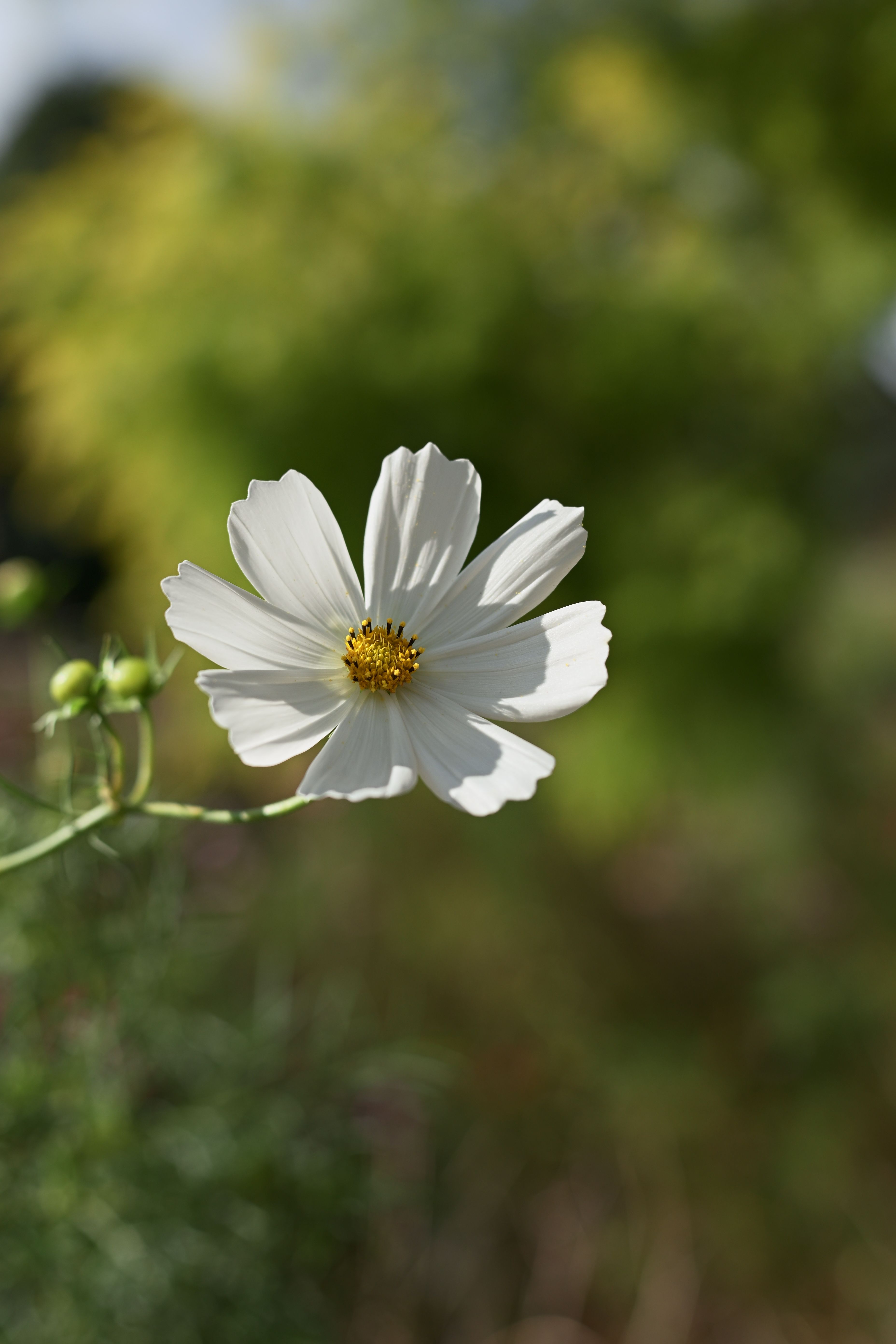 Environment 4k Photos, Download The BEST Free Environment 4k Stock ...