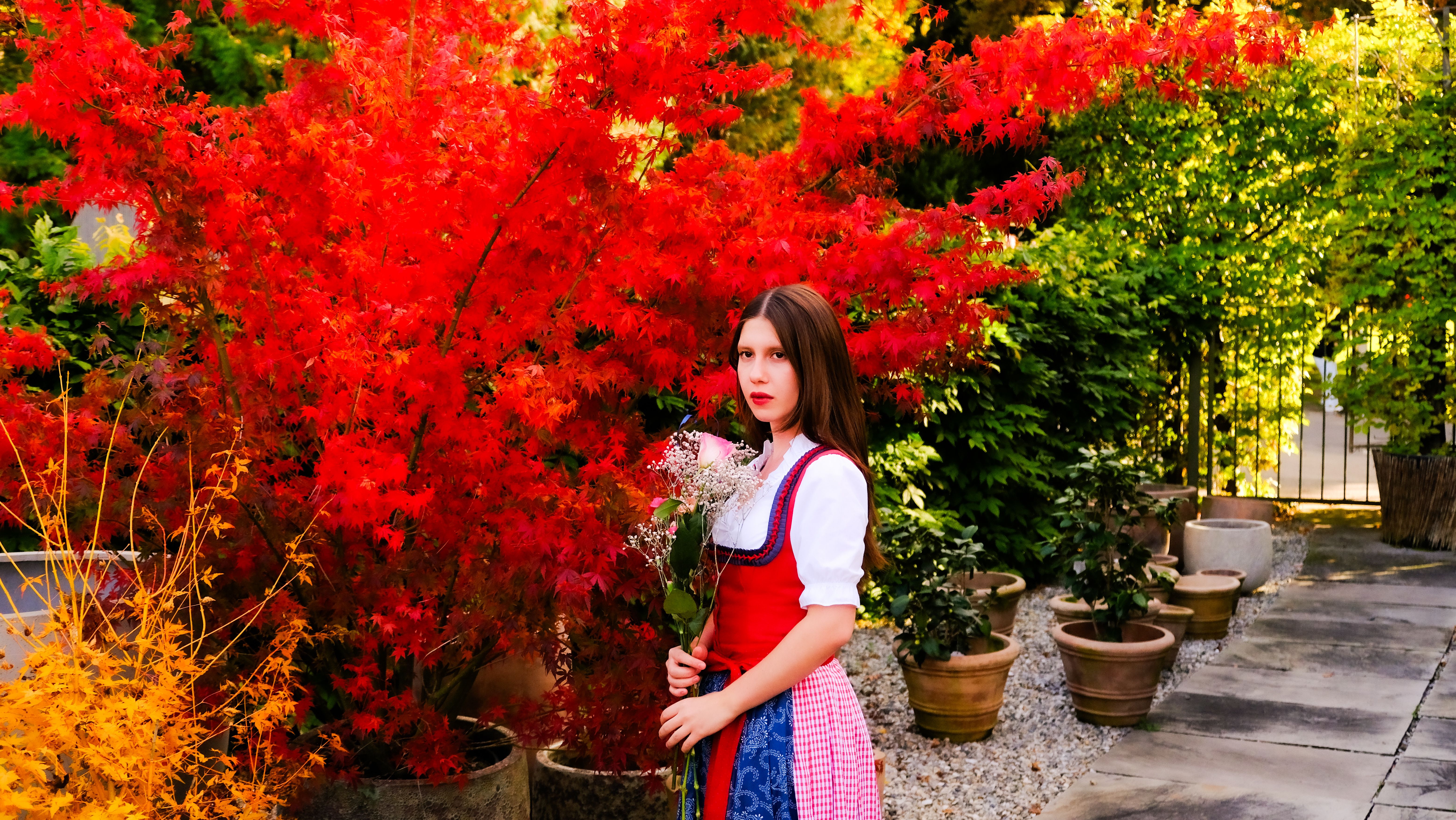 Austrian Woman in Traditional Dress by Vibrant Autumn Leaves · Free ...