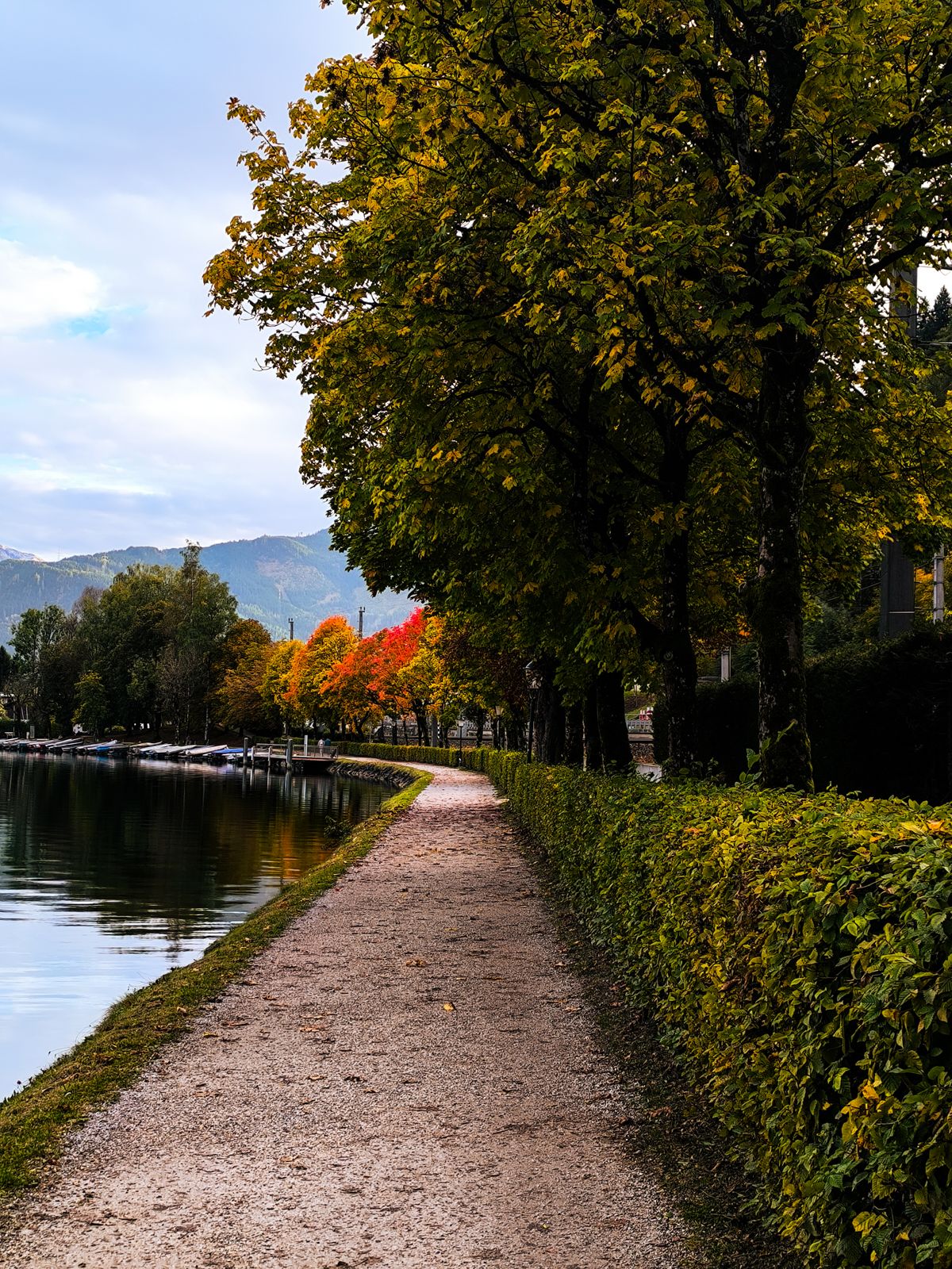 See Photos, Download The BEST Free See Stock Photos & HD Images