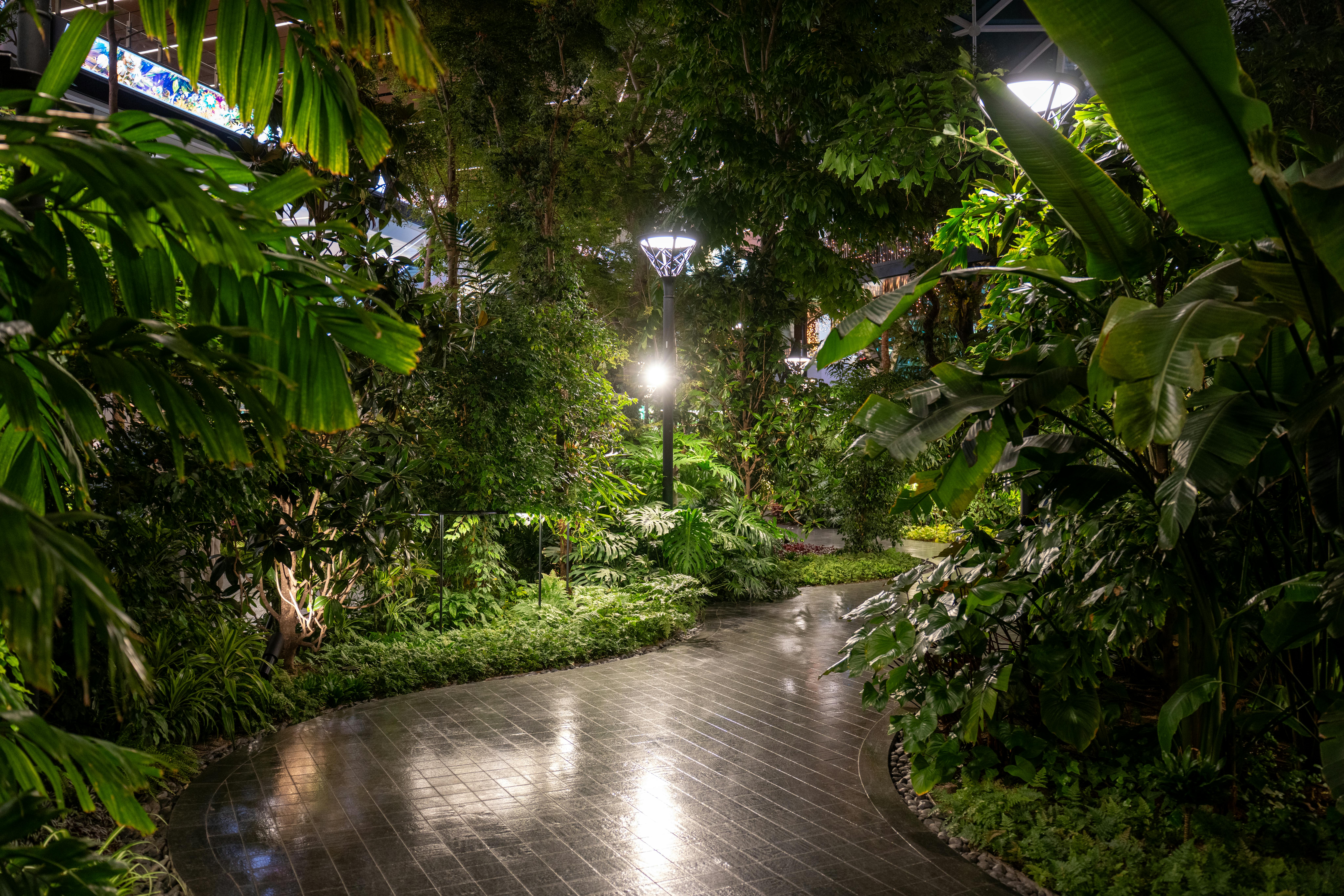 1.039+ Fotos y Imágenes de Kat+braden+ass Gratis · Banco de Fotos Gratis