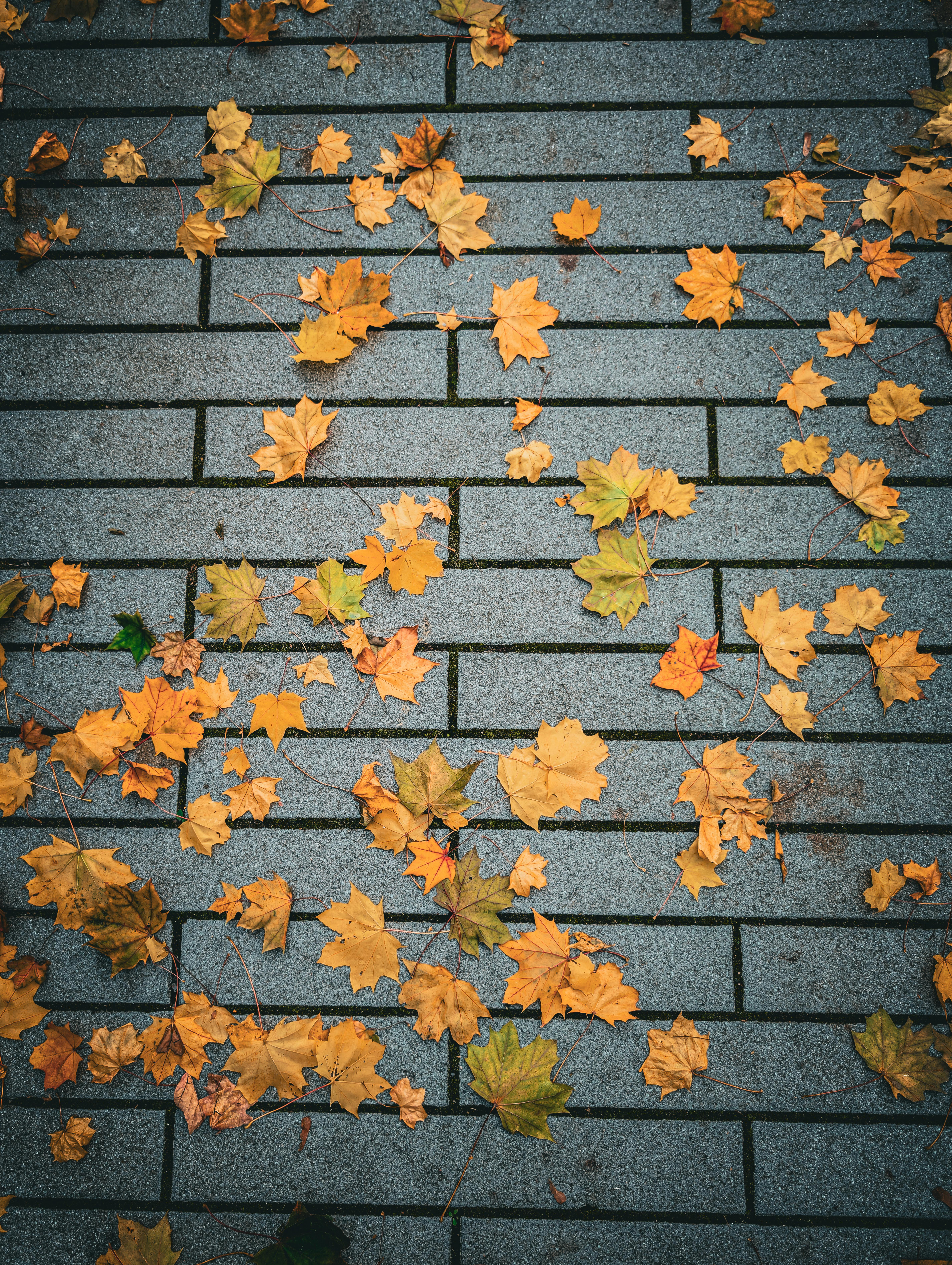 Ptm+Poster+For+School+Background Photos, Download The BEST Free Ptm ...