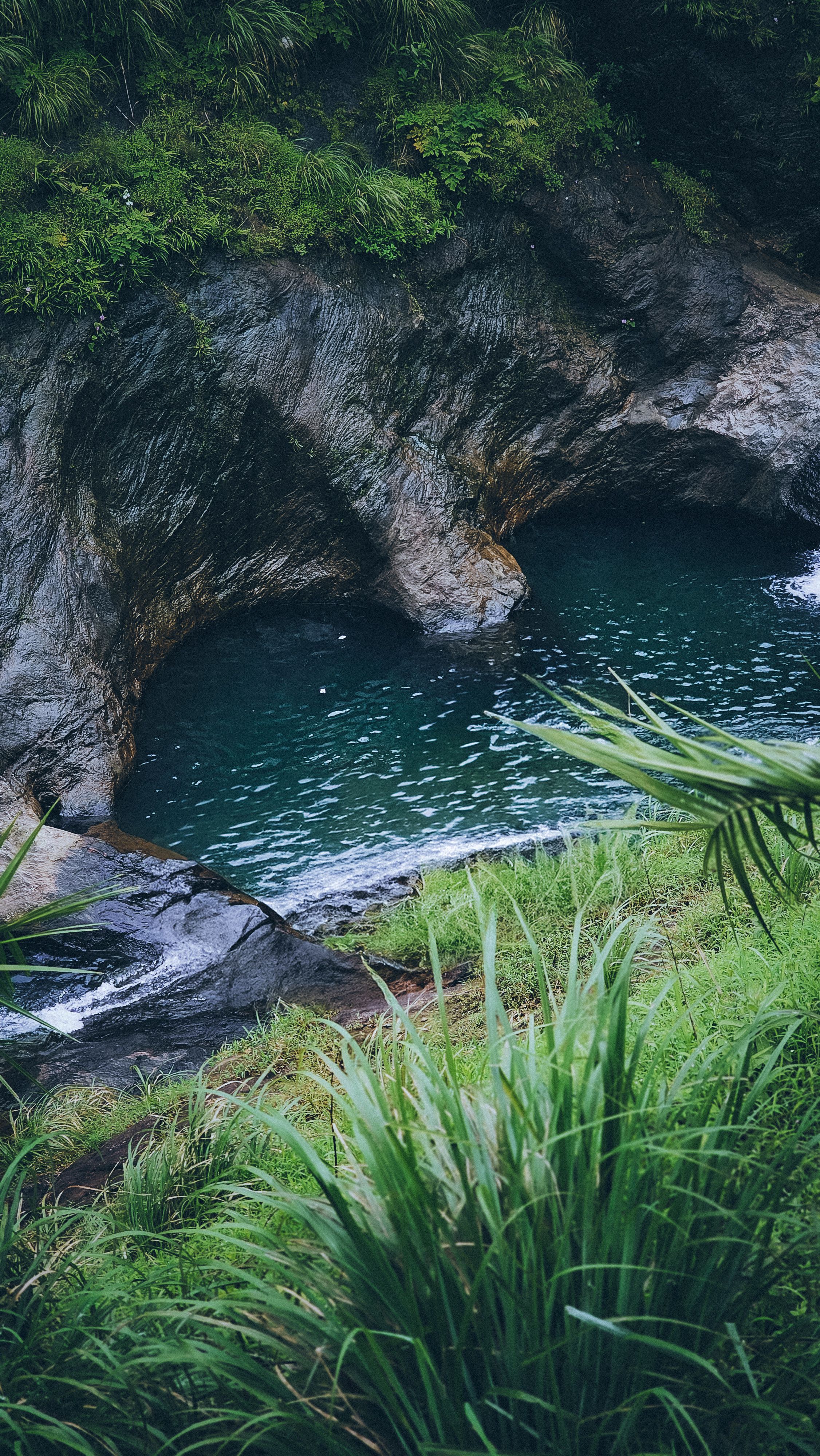 Freshwater Photos, Download The BEST Free Freshwater Stock Photos & HD ...