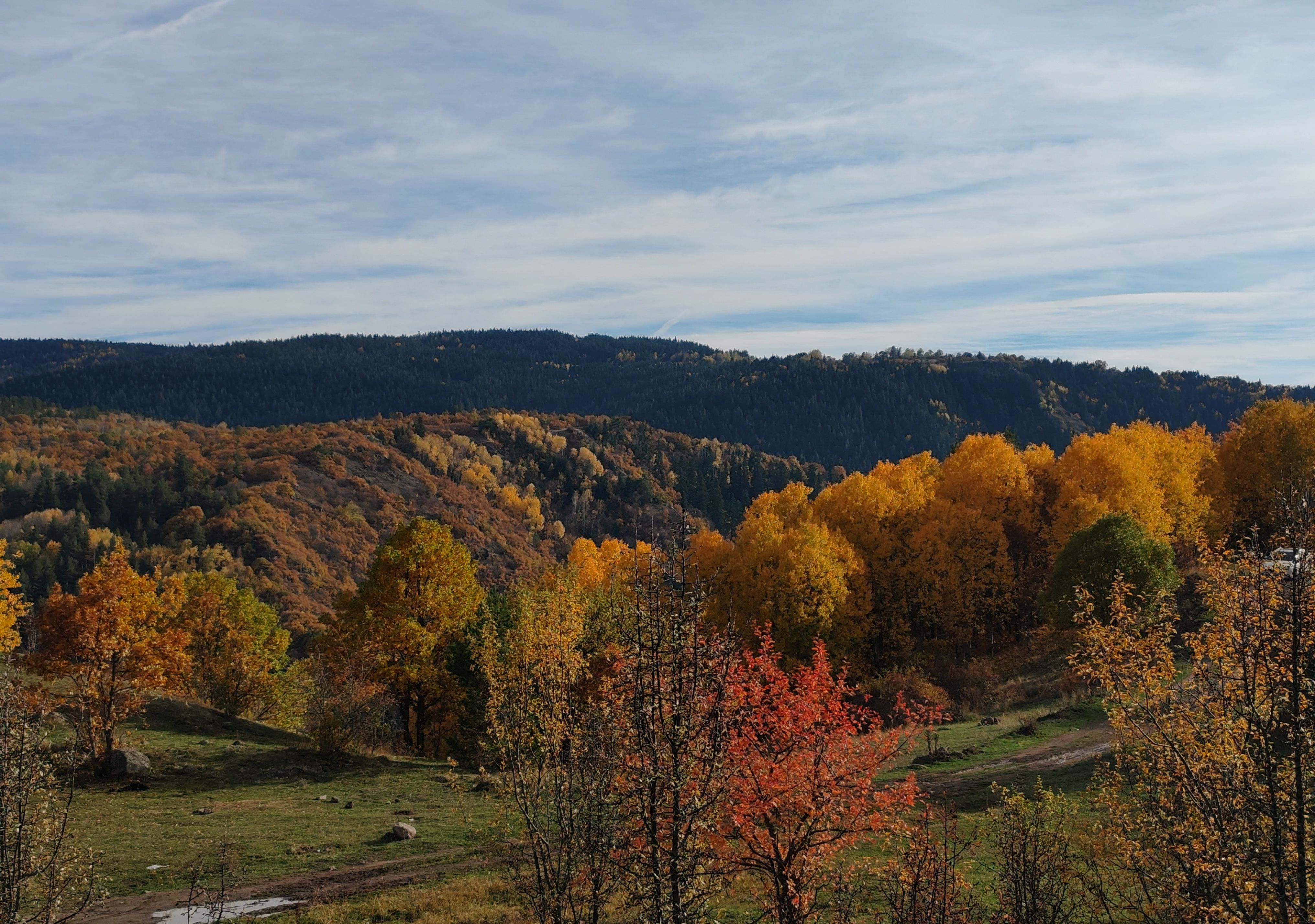 Scenic Autumn Landscape in Ankara, Türkiye · Free Stock Photo