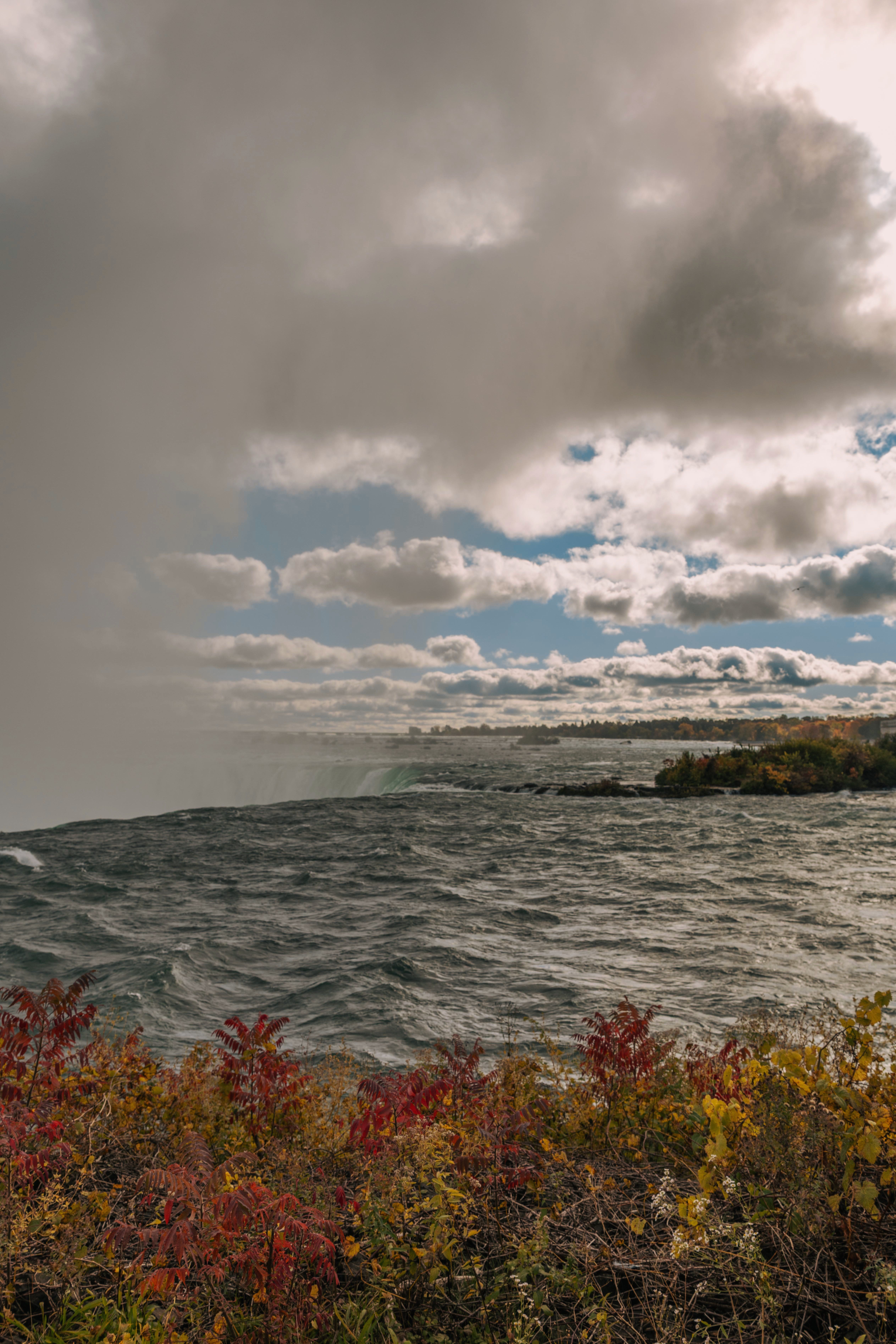 Border Photos, Download The BEST Free Border Stock Photos & HD Images