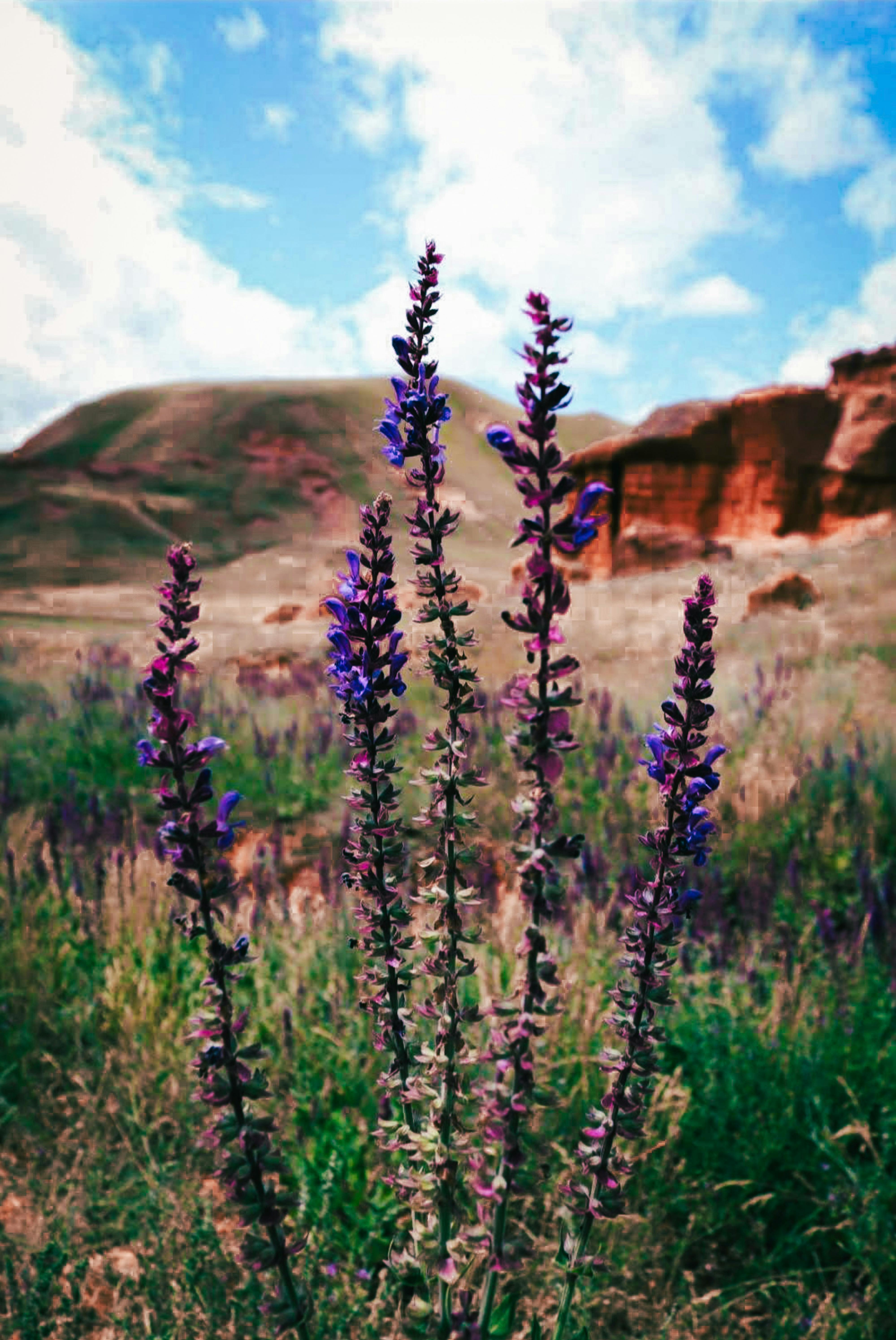 50 000+ 5120x1440-wallpapers banque d’images et photos libres de droit ...