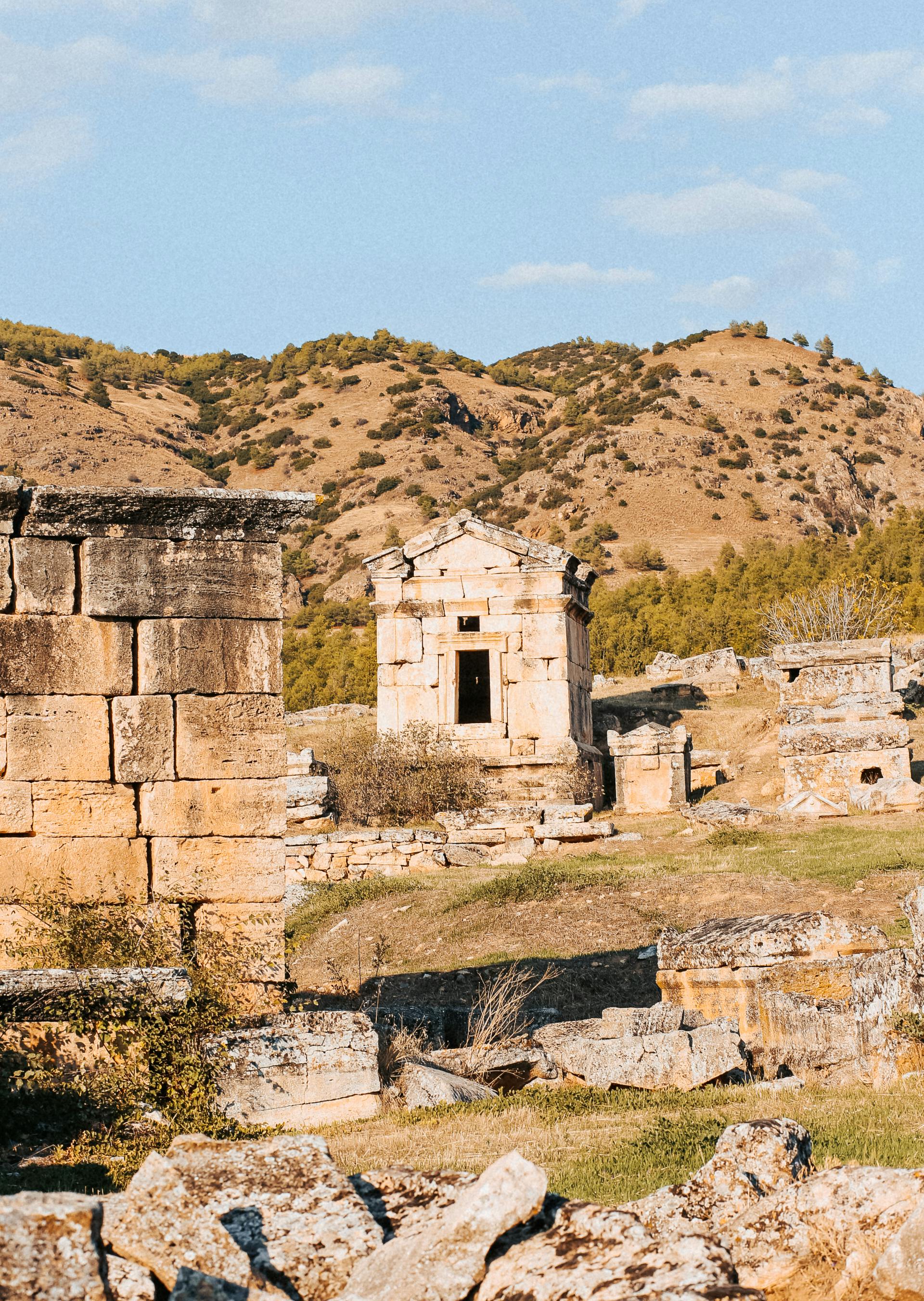 Everyone+Pointing+At+Wallpaper+Meme Photos, Download The BEST Free ...