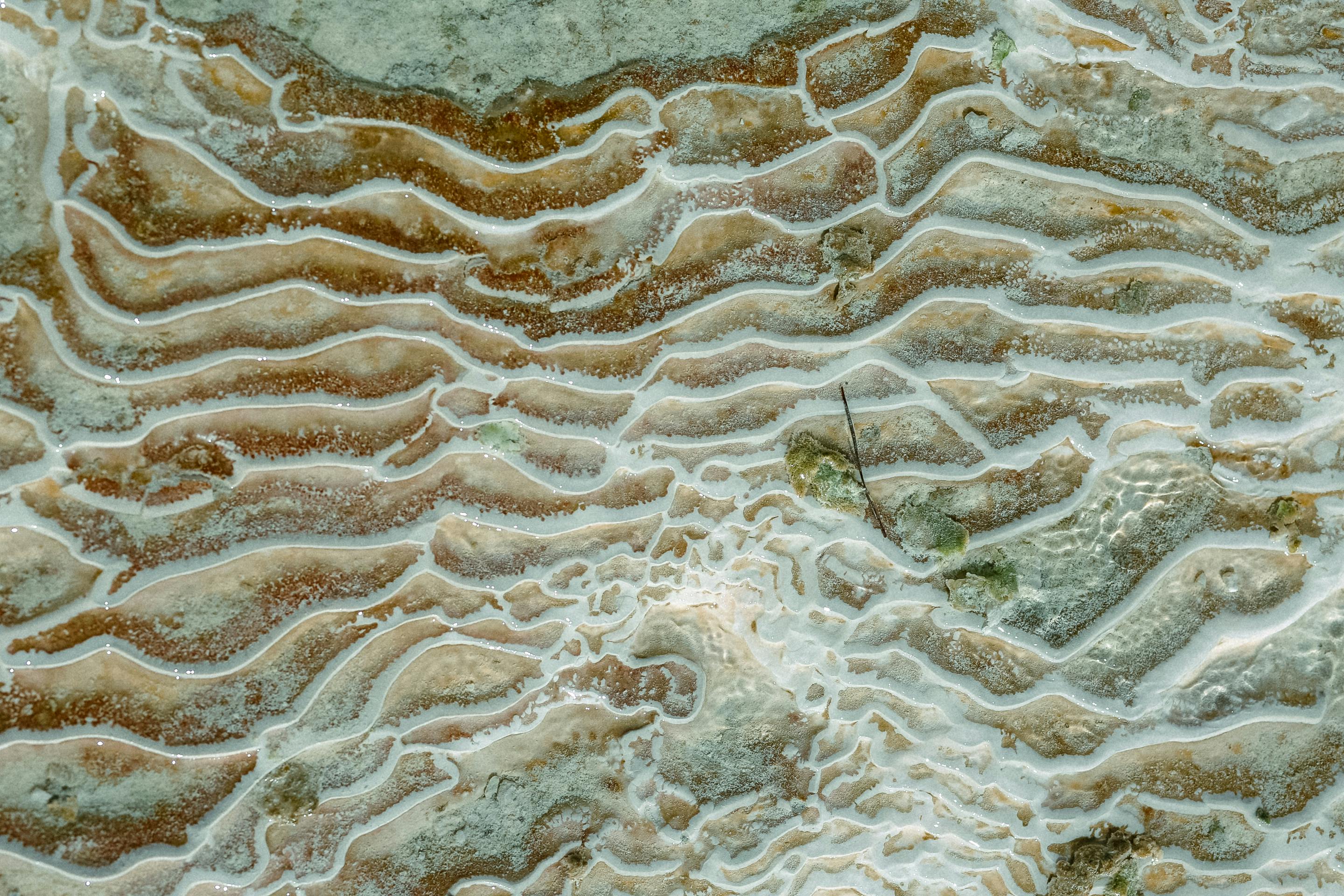 Pubmat Backgrounds Photos, Download The BEST Free Pubmat Backgrounds ...