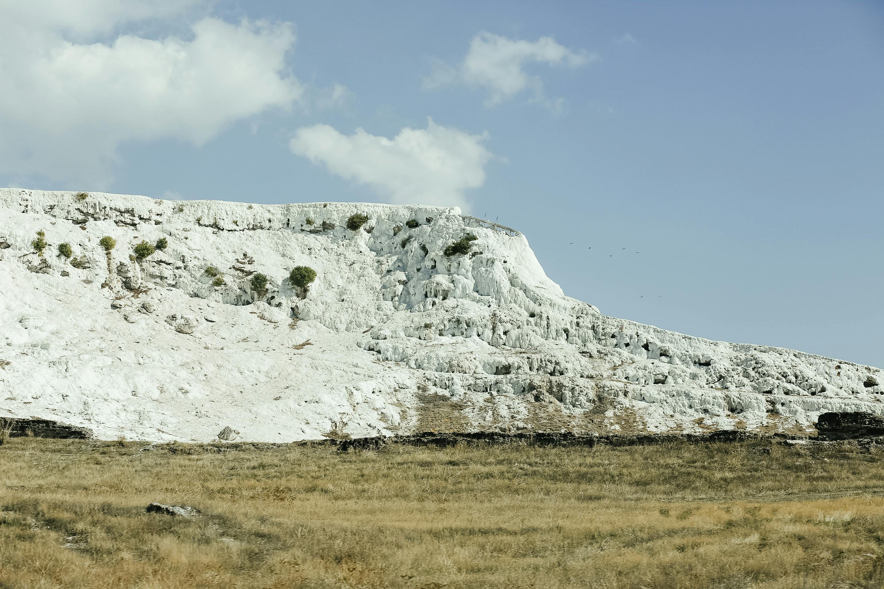 Everyone+Pointing+At+Wallpaper+Meme Photos, Download The BEST Free ...