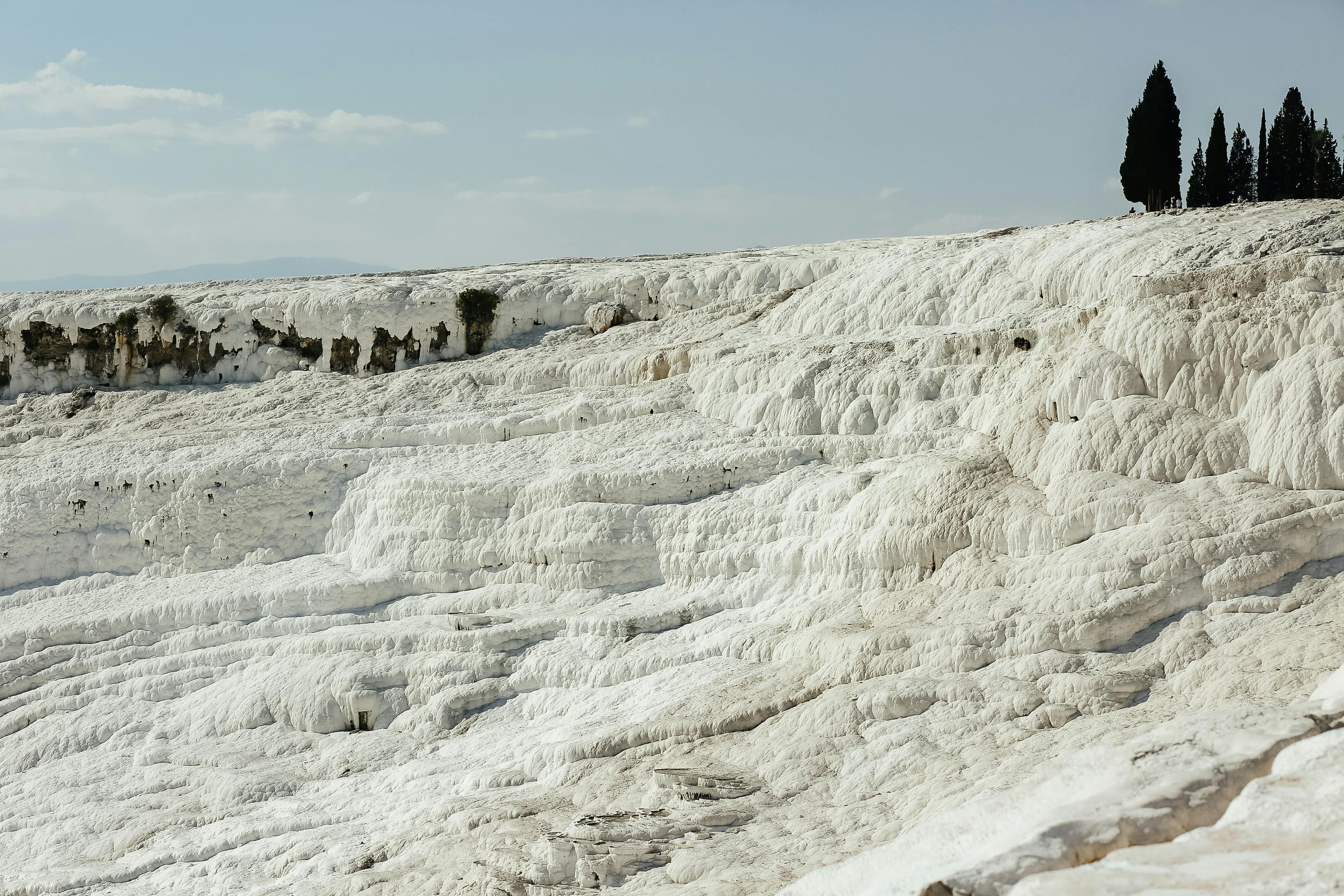 Everyone+Pointing+At+Wallpaper+Meme Photos, Download The BEST Free ...