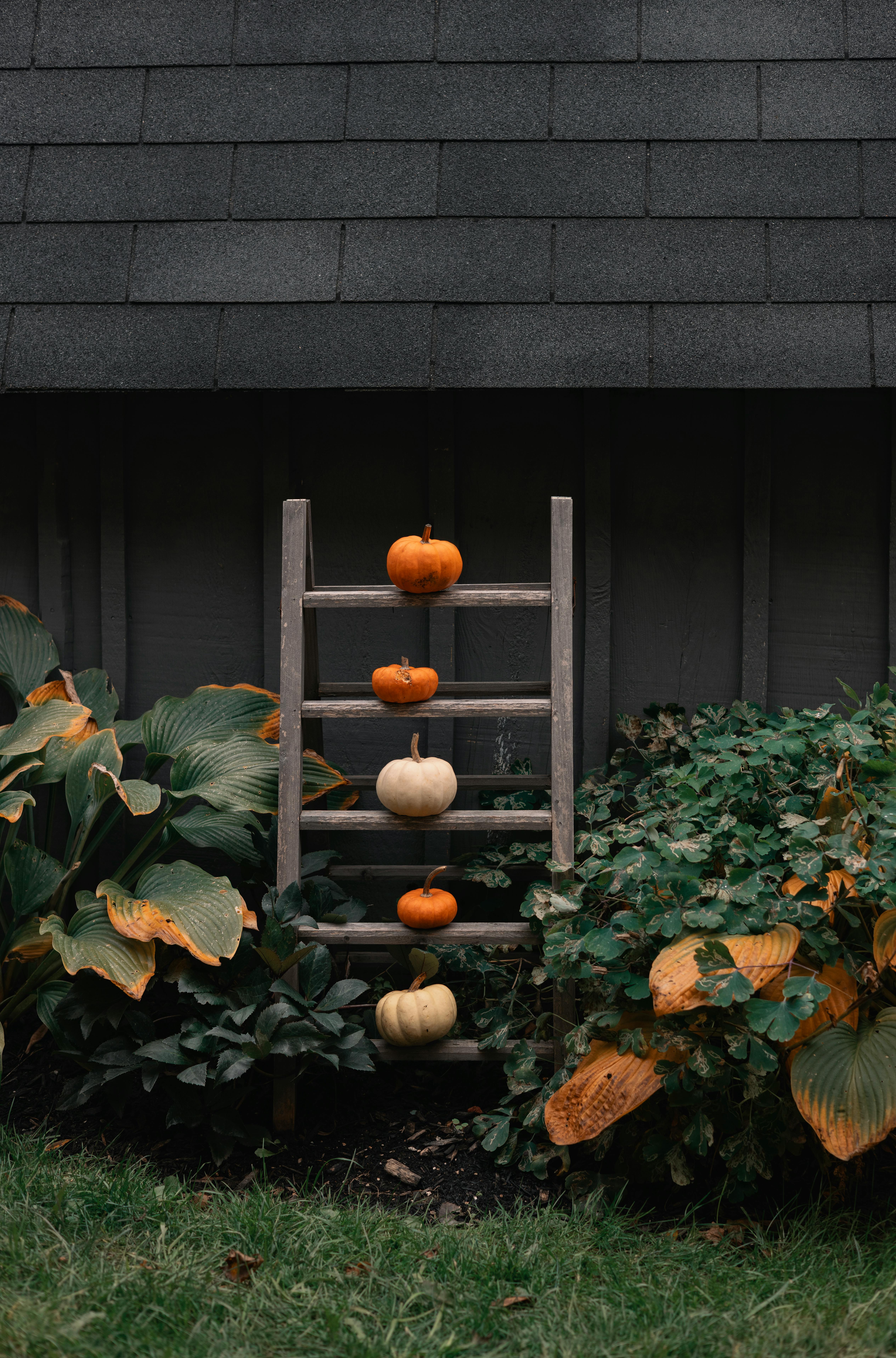 Autumn Spooky Desktop Photos, Download The BEST Free Autumn Spooky ...