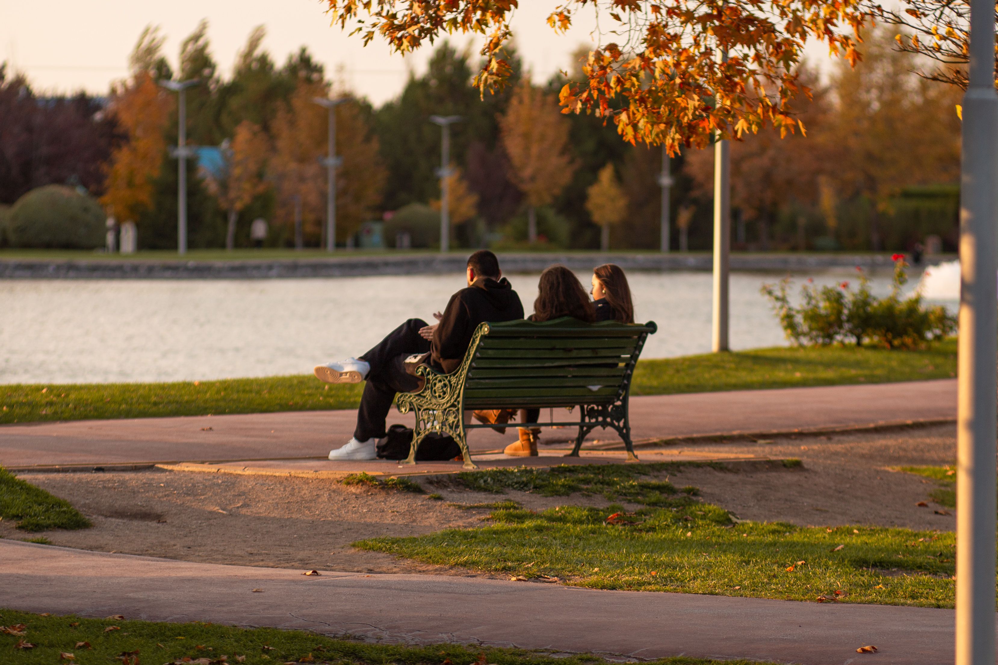 Autumn Evening in Eskişehir Park · Free Stock Photo