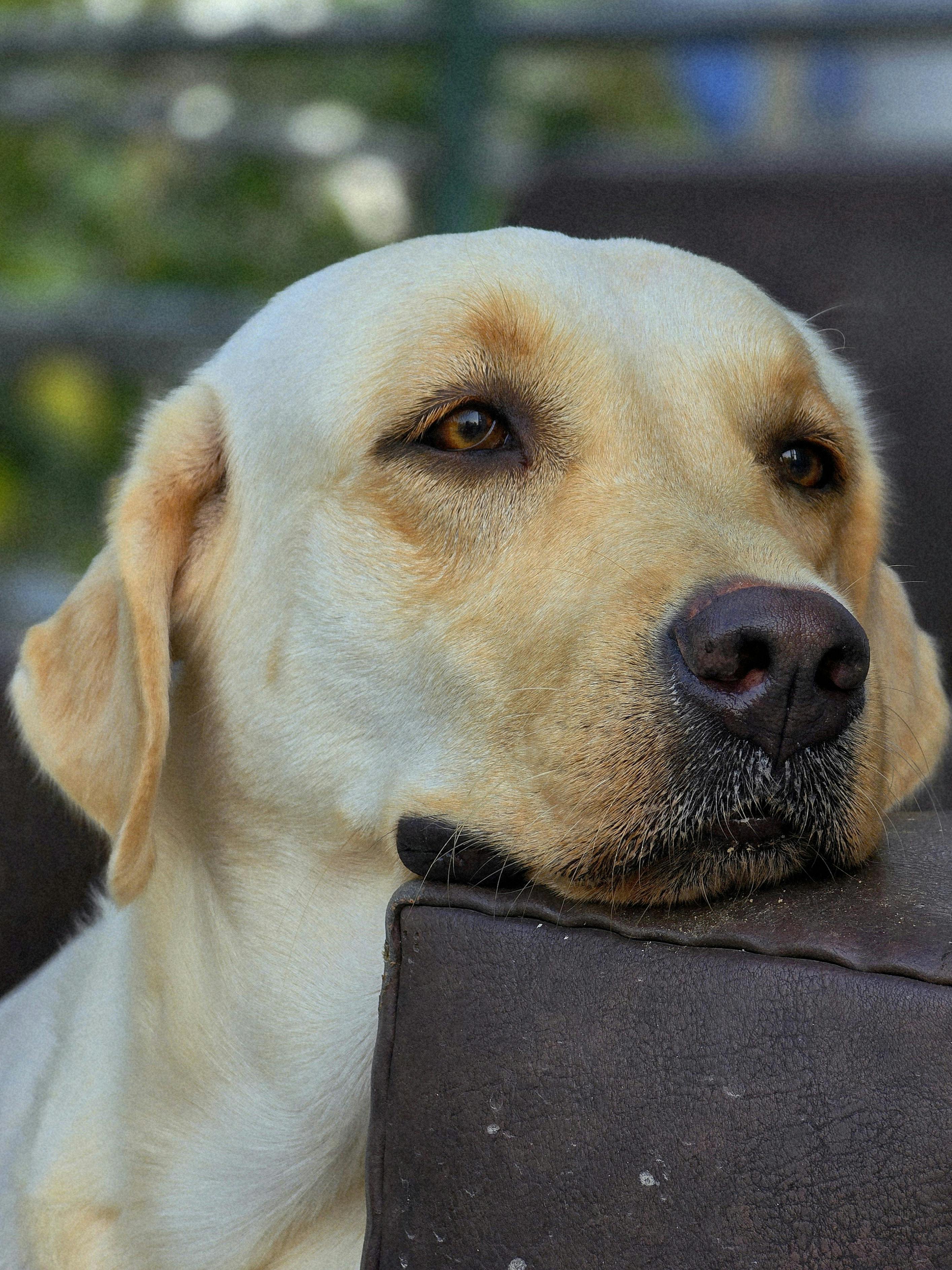 Best+Goon+Pictures Photos, Download The BEST Free Best+Goon+Pictures ...