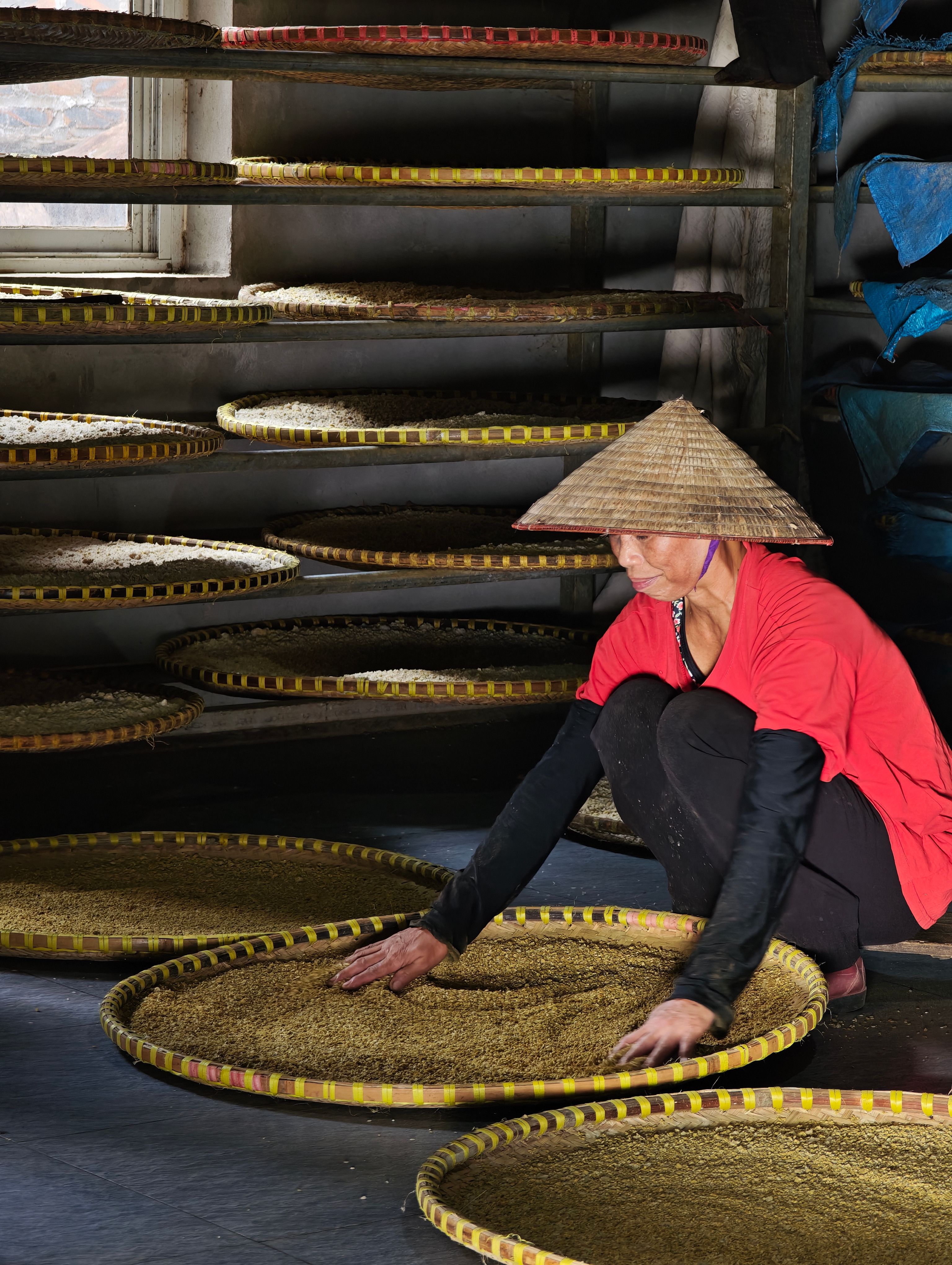 Woman Drying Grains in Traditional Asian Setting · Free Stock Photo