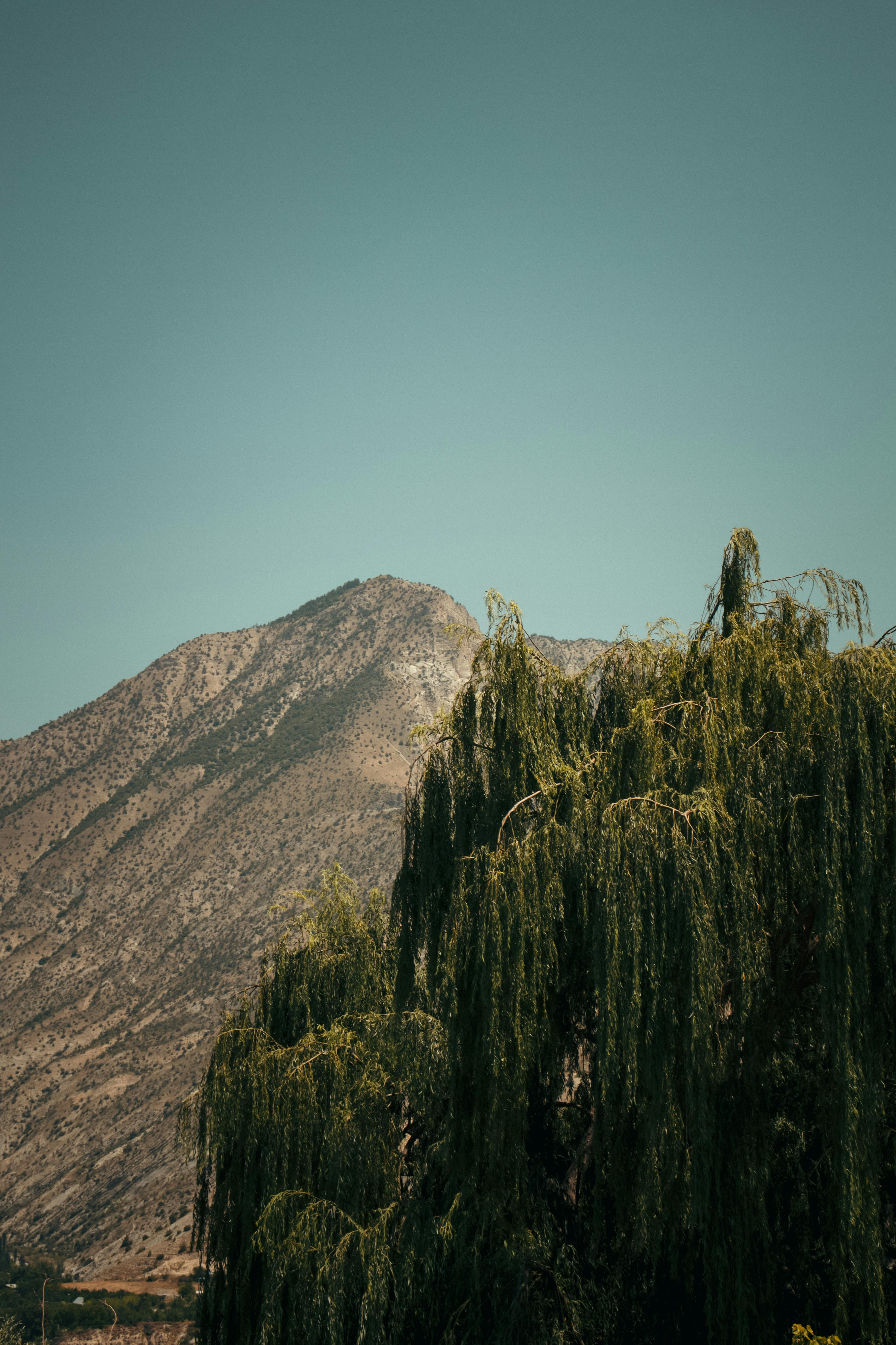 Peak Px Photos, Download The BEST Free Peak Px Stock Photos & HD Images