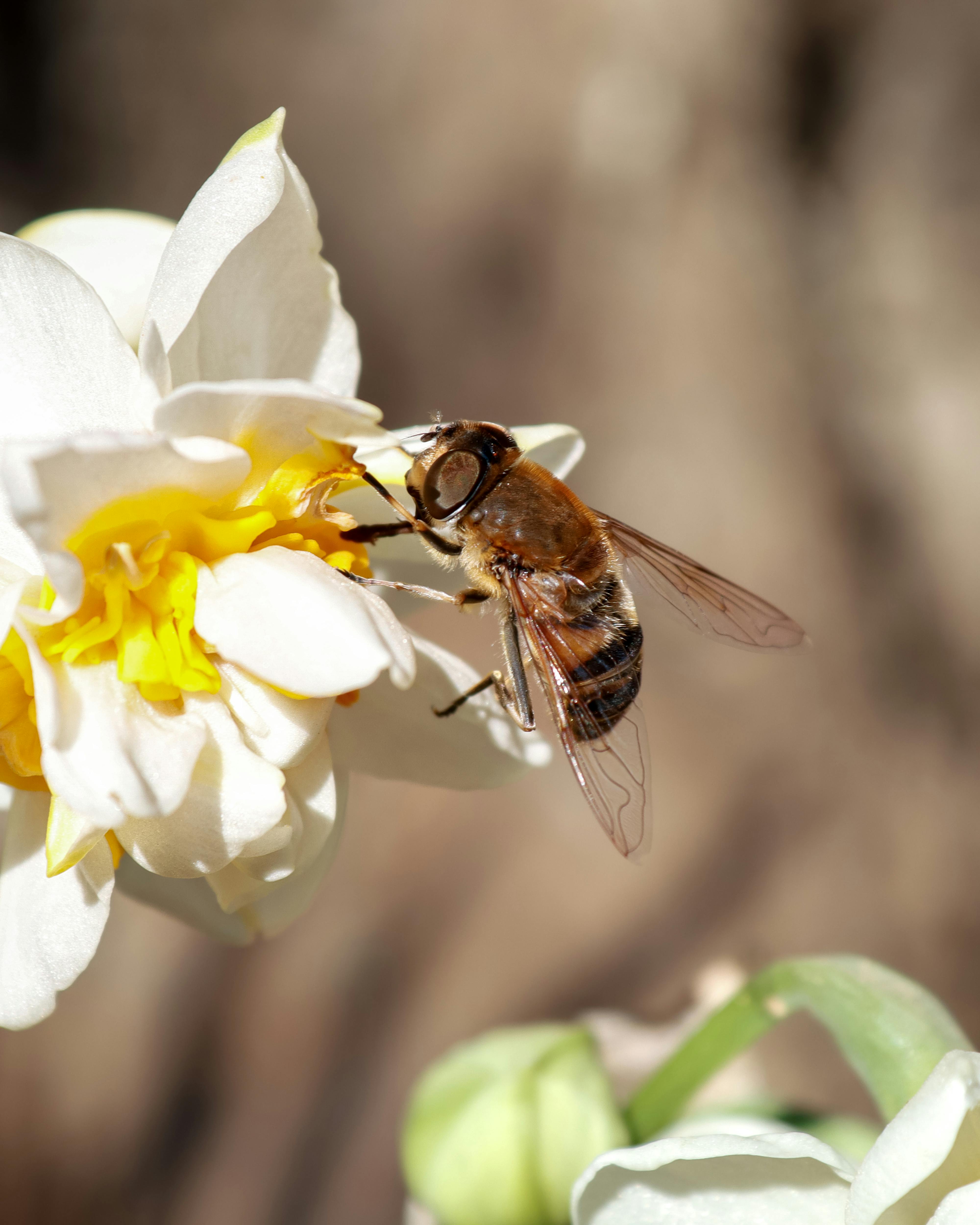 Pookie Wallpaper Photos, Download The BEST Free Pookie Wallpaper Stock ...