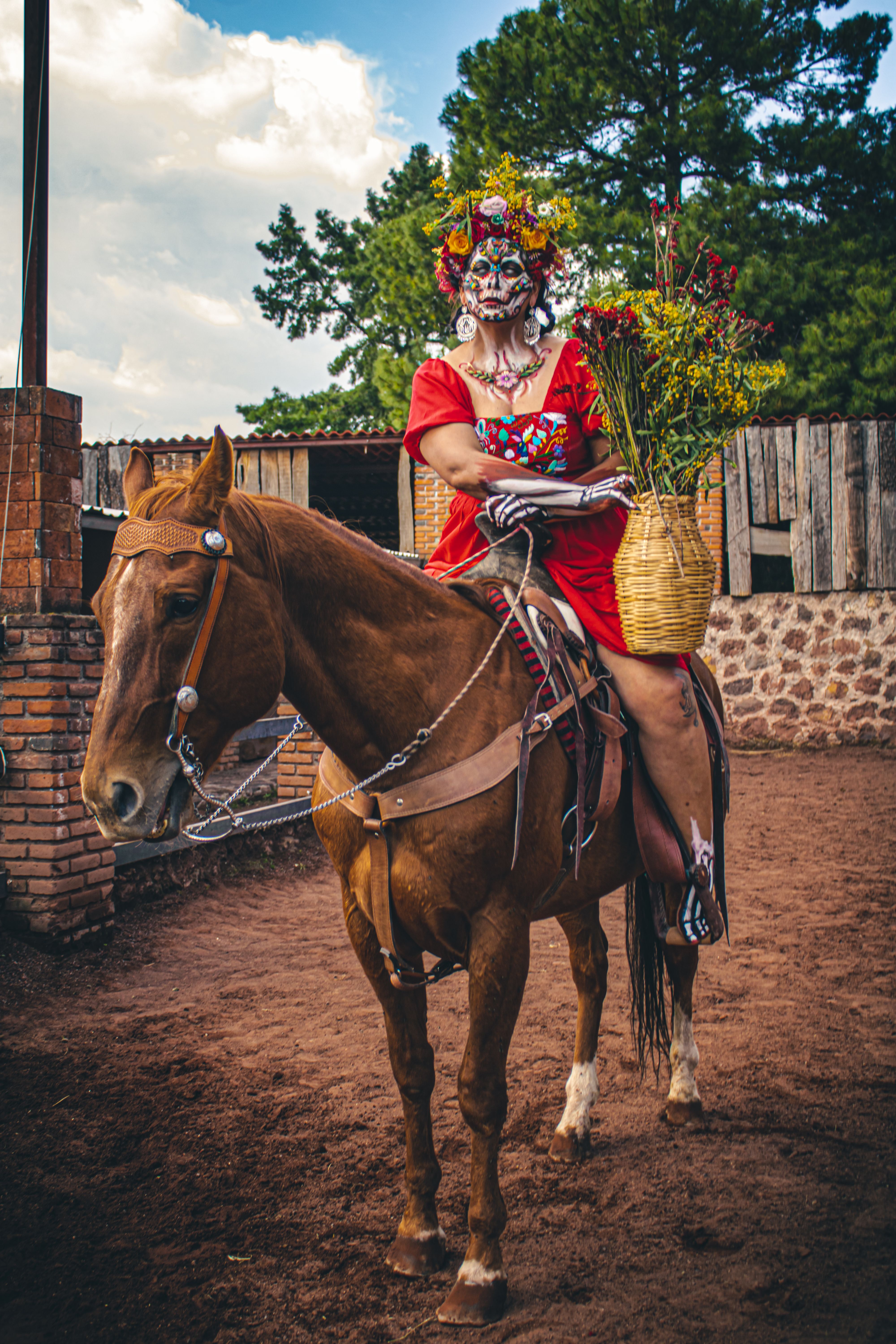Horse+ Human+Breed Photos, Download The BEST Free Horse+ Human+Breed ...