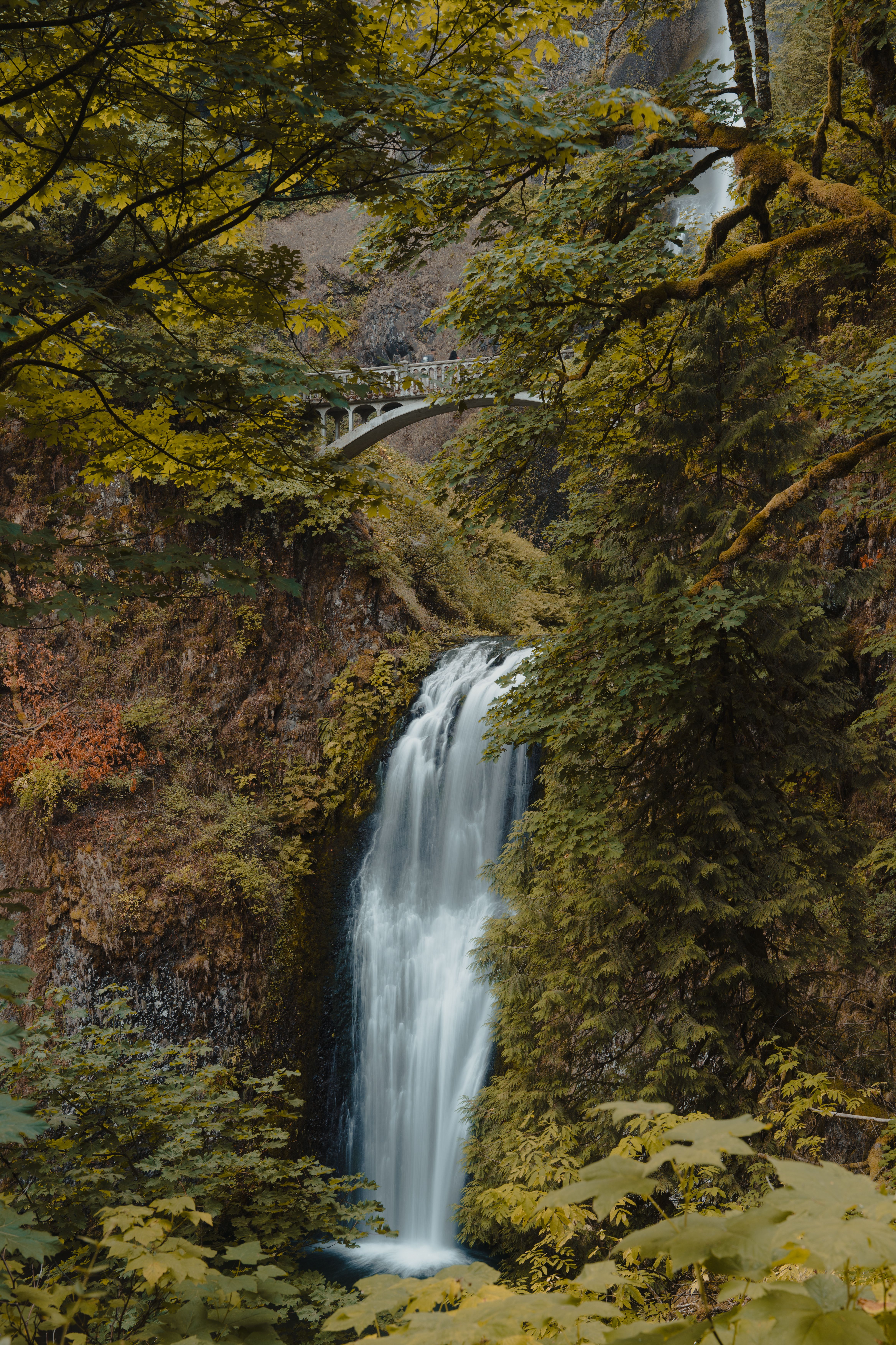 Scenic View of Multnomah Falls with Bridge · Free Stock Photo