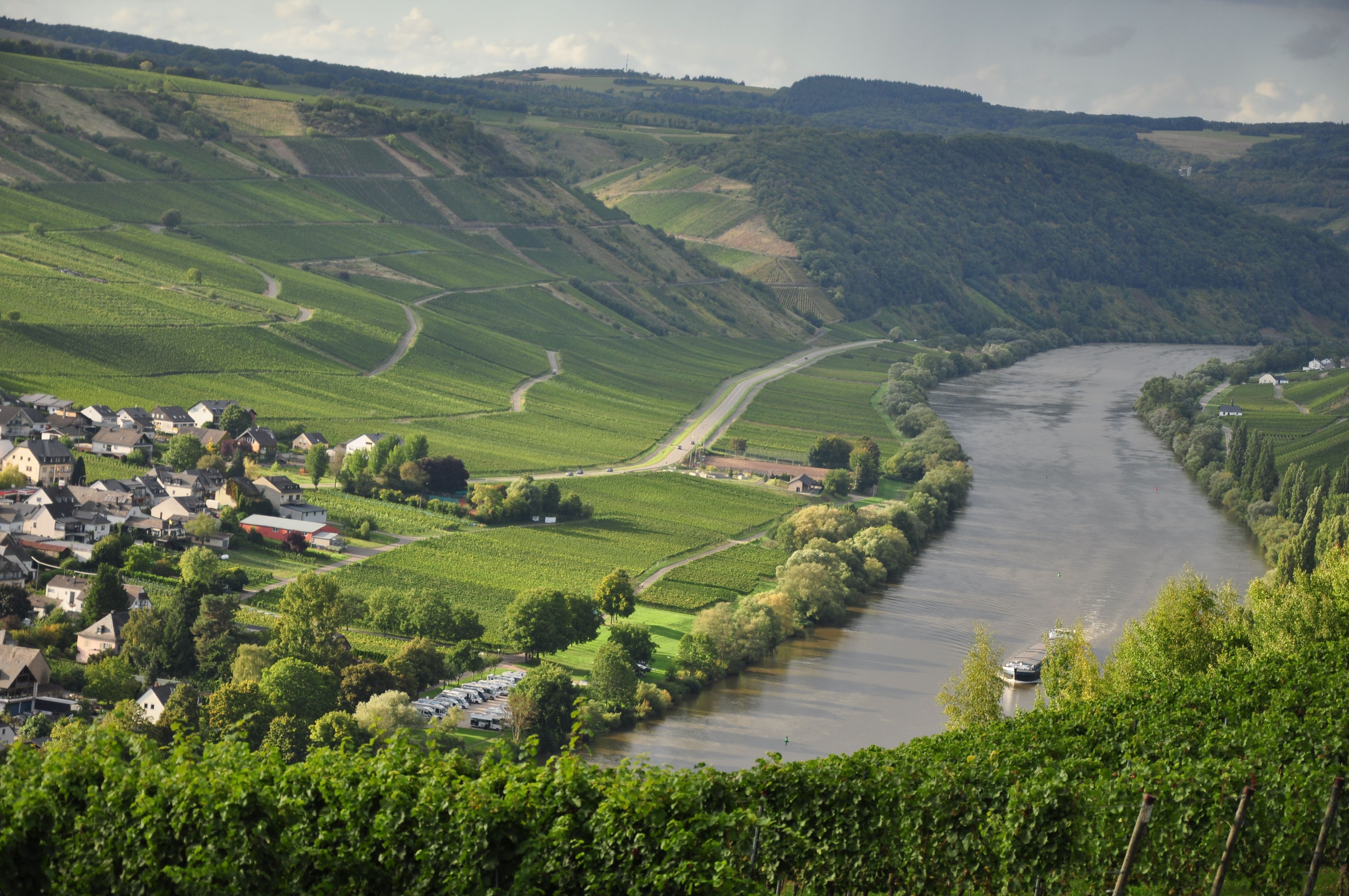 Scenic View of River and Vineyards in Germany · Free Stock Photo