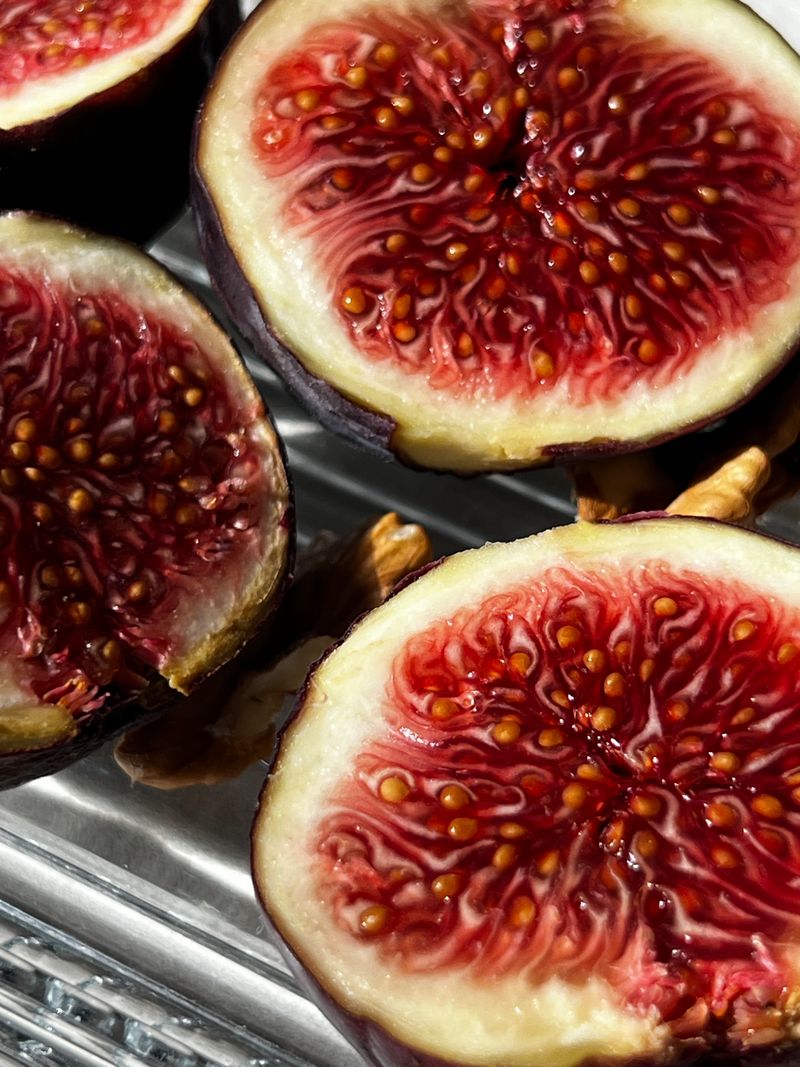 Fig Photos, Download The BEST Free Fig Stock Photos & HD Images