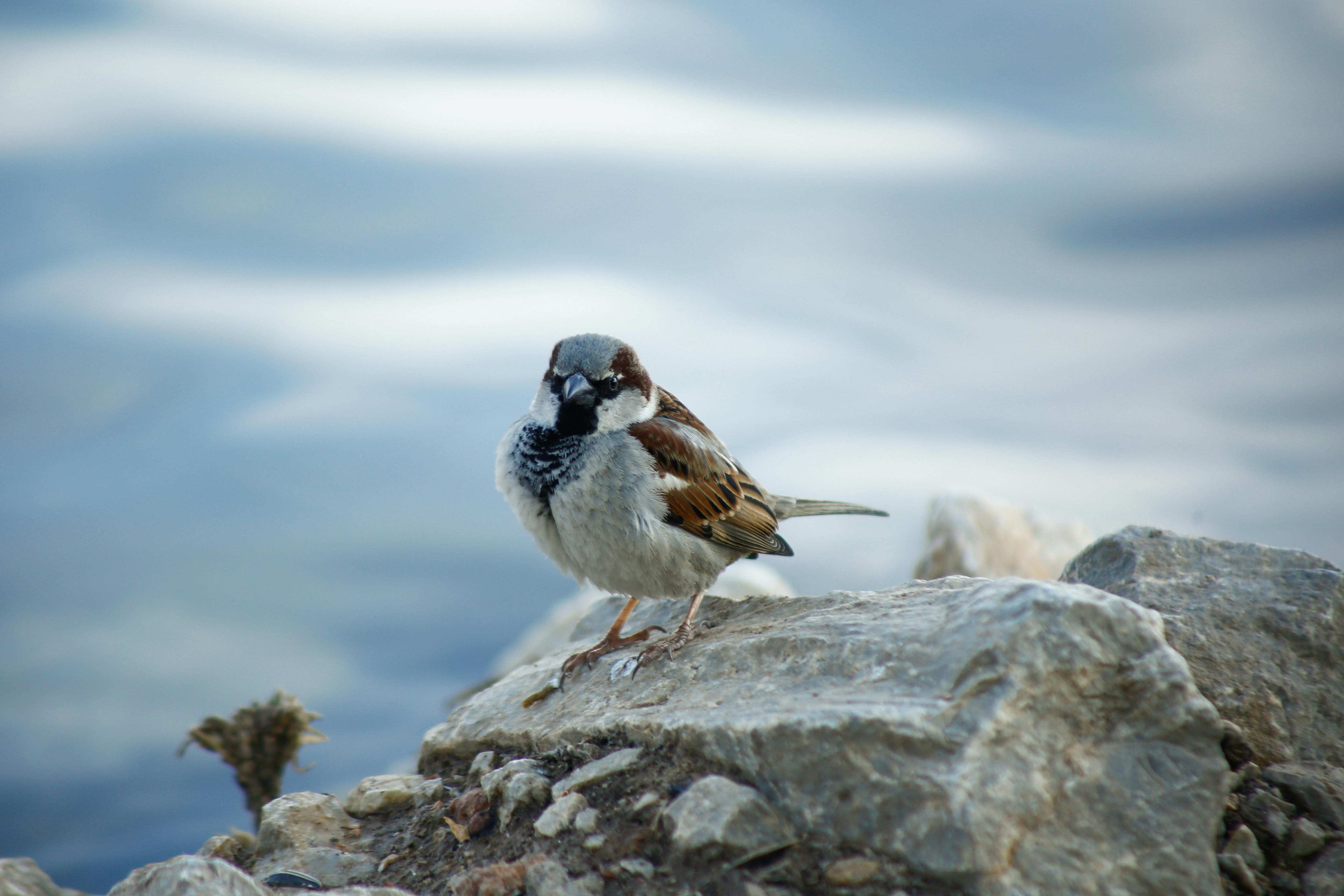 Cute Zoom Background Photos, Download The BEST Free Cute Zoom ...