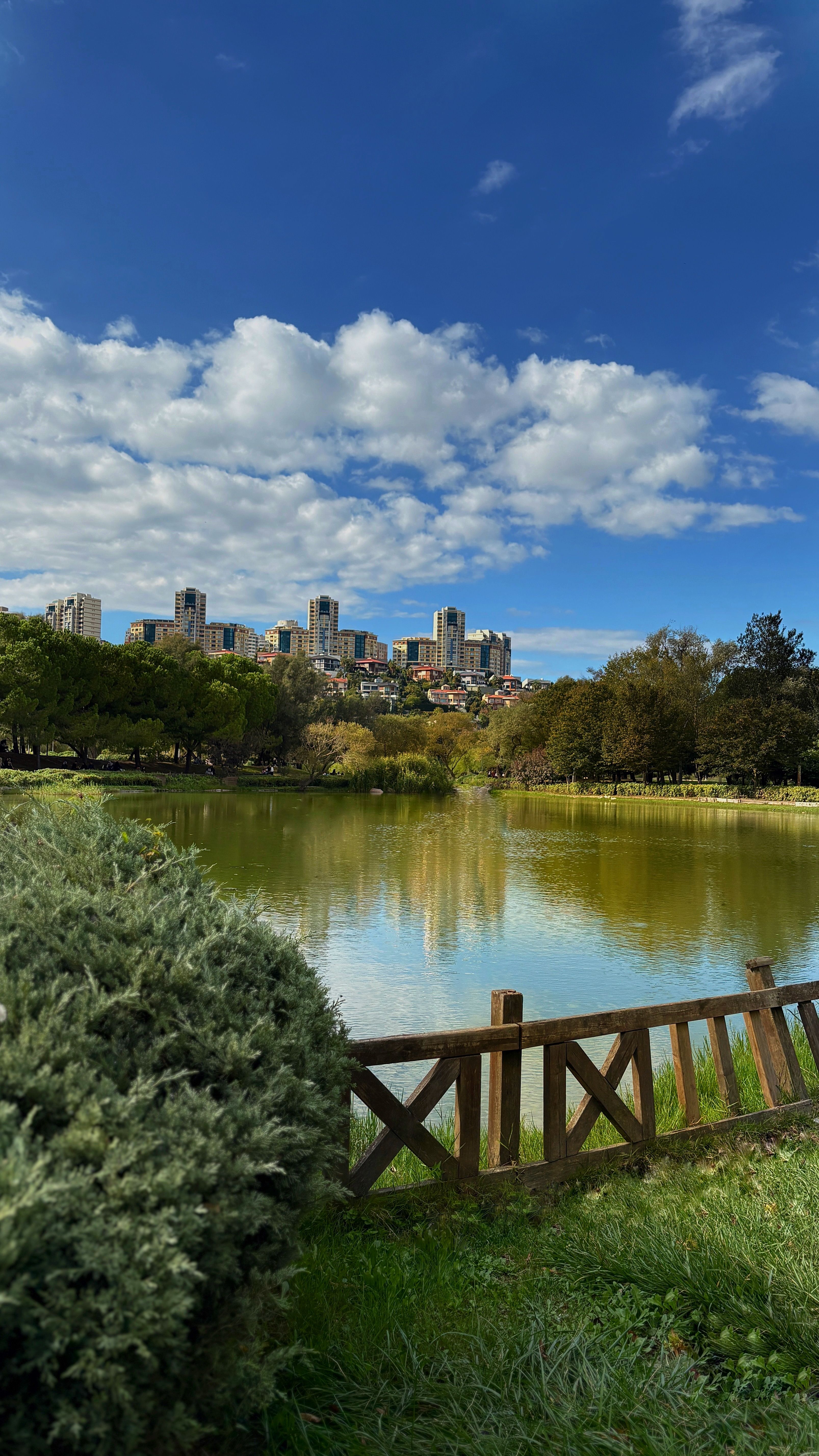 Scenic Urban Lake View with Skyline Backdrop · Free Stock Photo