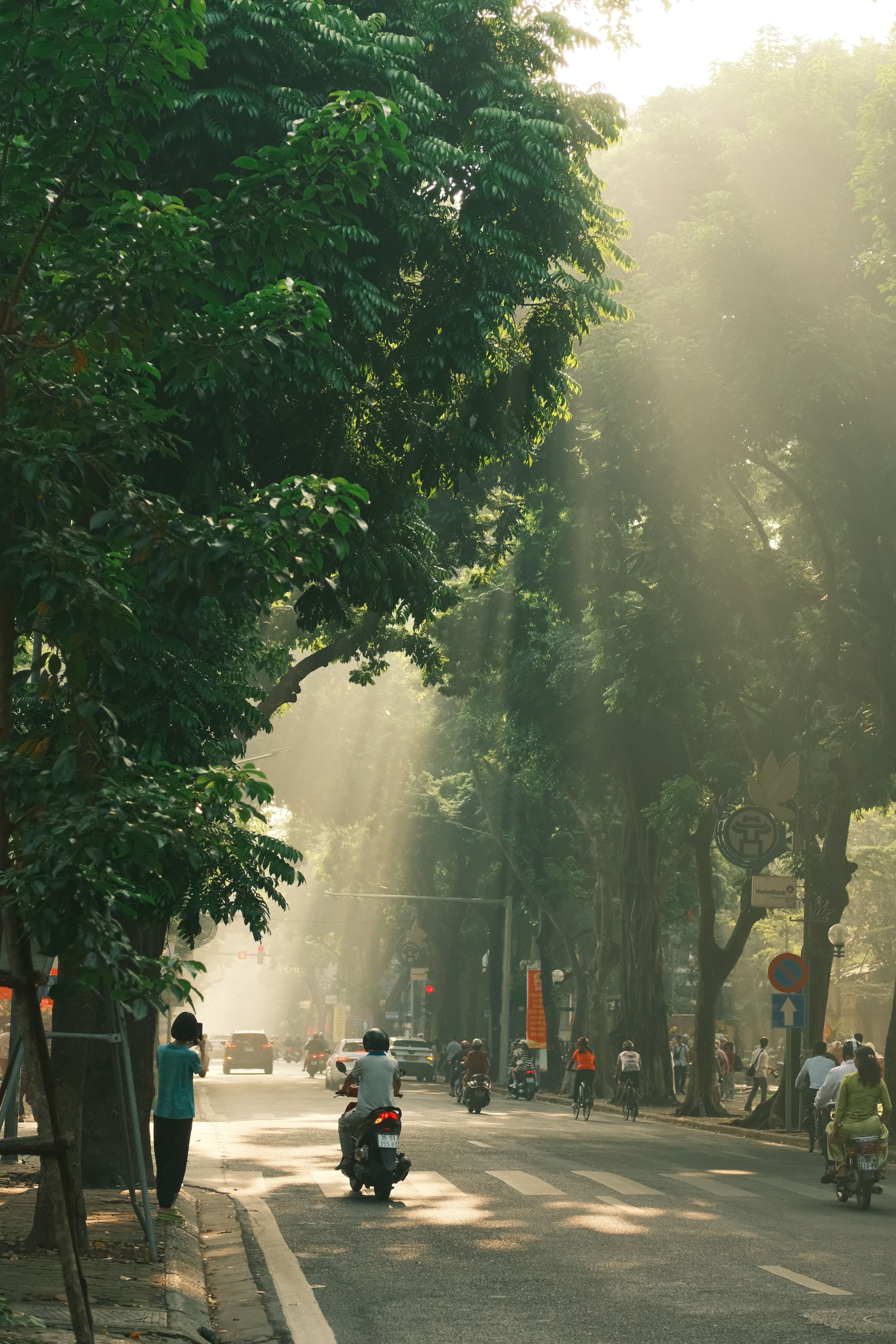 Sunlit Street Scene in Timor-Leste · Free Stock Photo