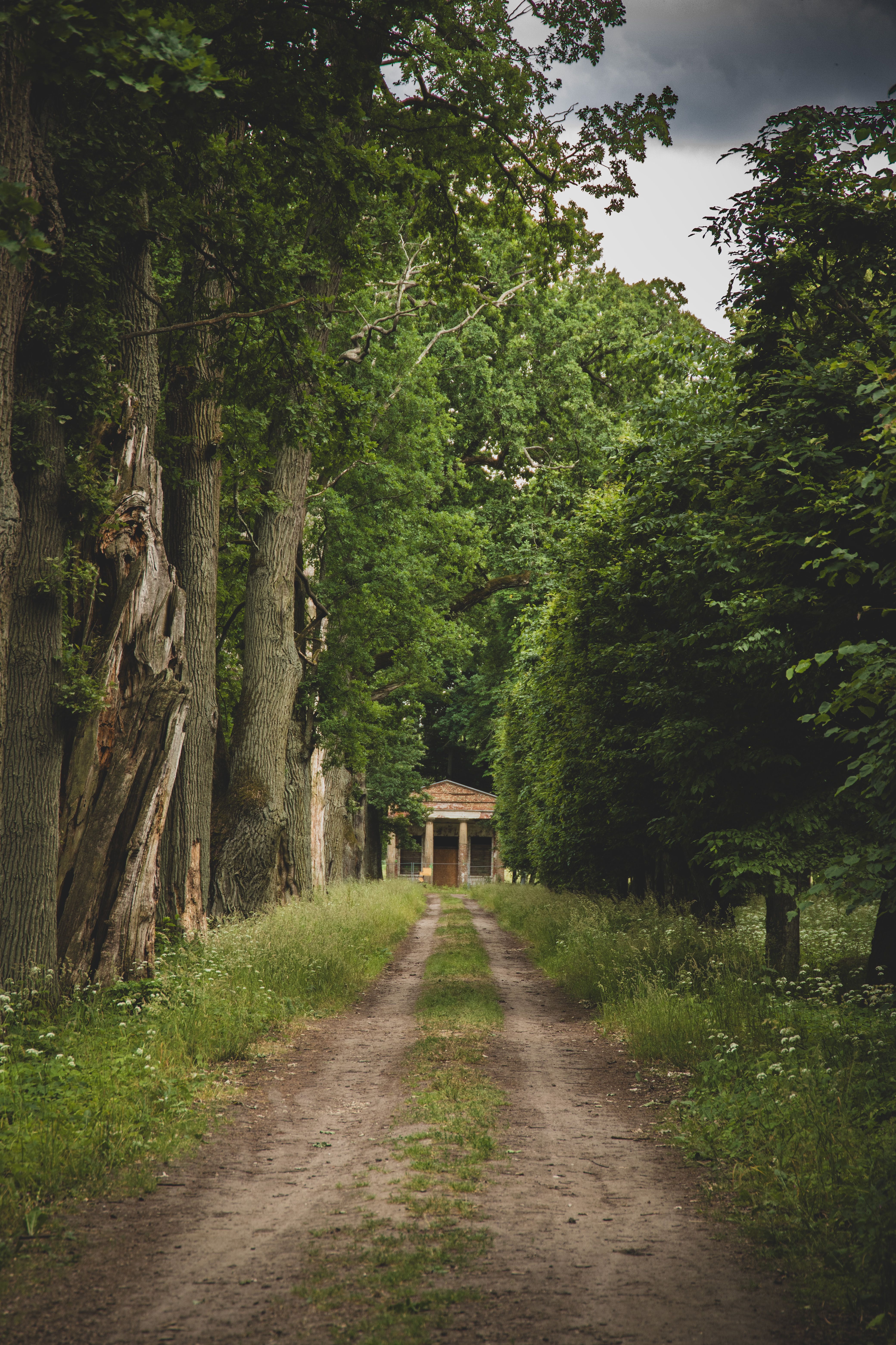 Rustic Forest Path Leading to Stone Building · Free Stock Photo