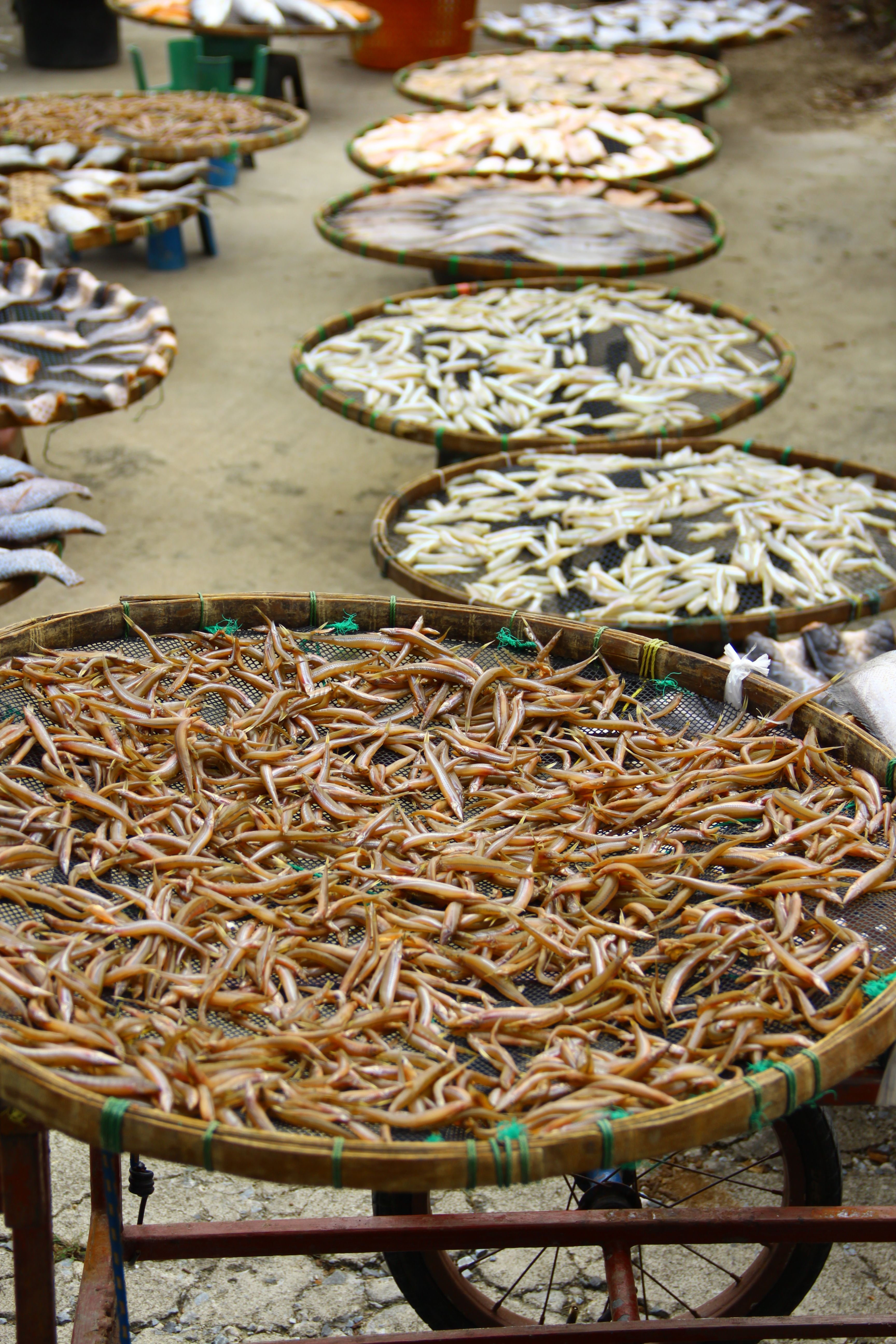 Traditional Fish Drying Racks in Open Air Market · Free Stock Photo