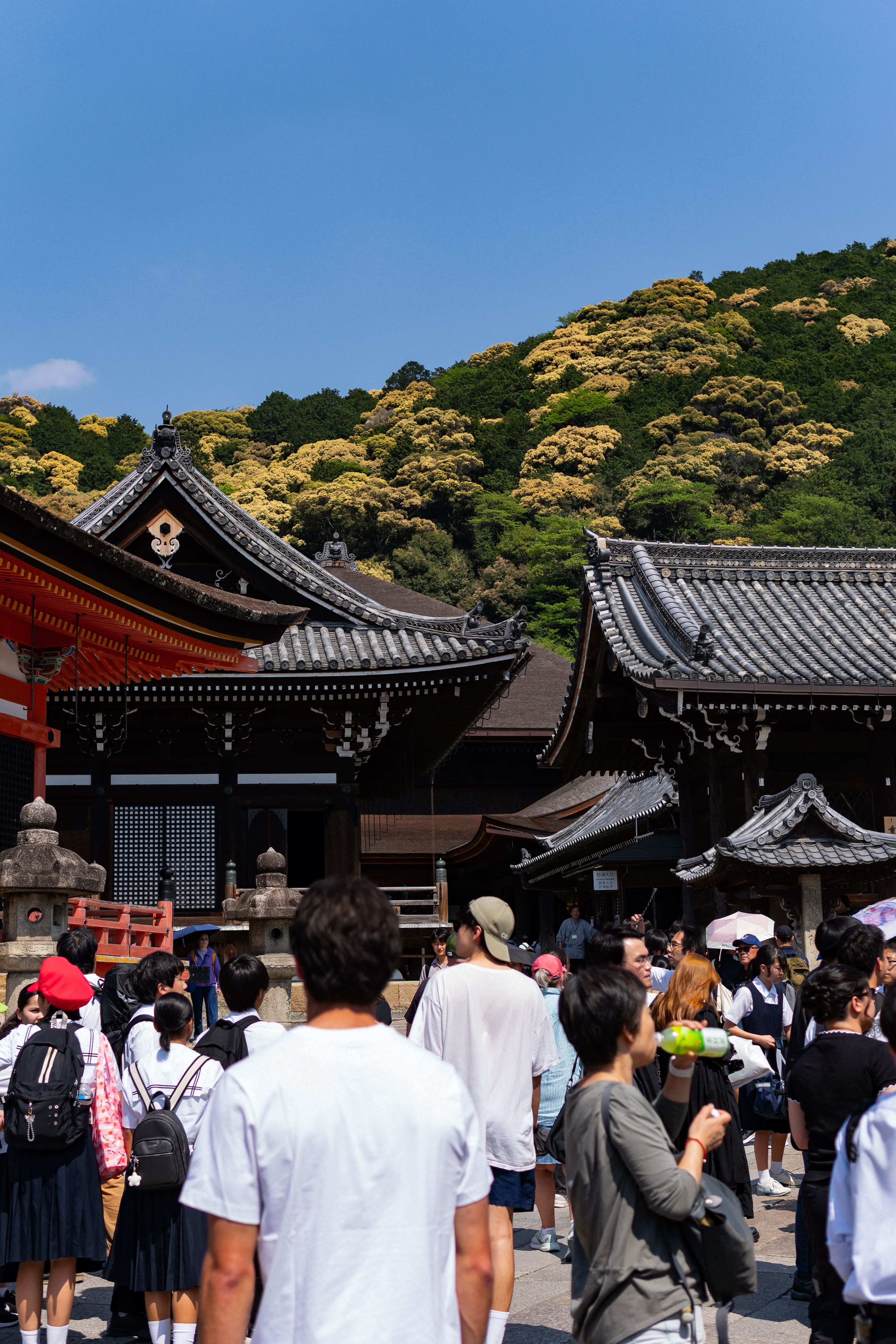 Spring In Japan Photos, Download The BEST Free Spring In Japan Stock ...